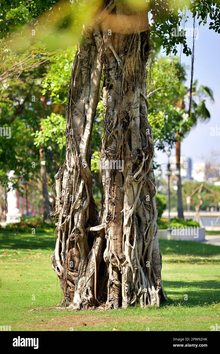 Hard material hi-res stock photography and images - Alamy