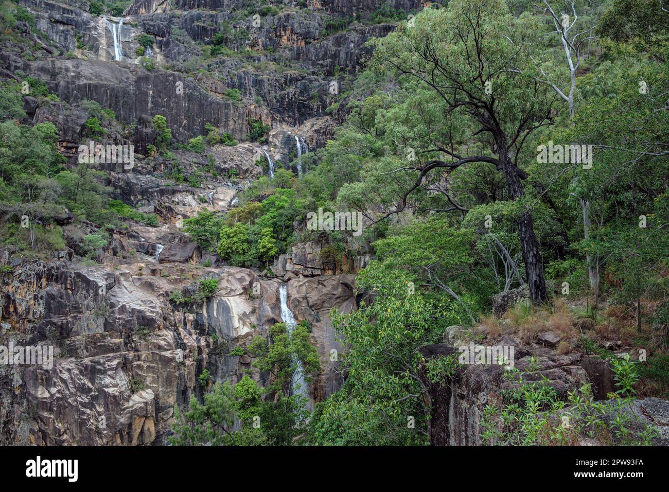 Jourama Falls, Paluma Range National Park, Queensland, Australia Stock ...