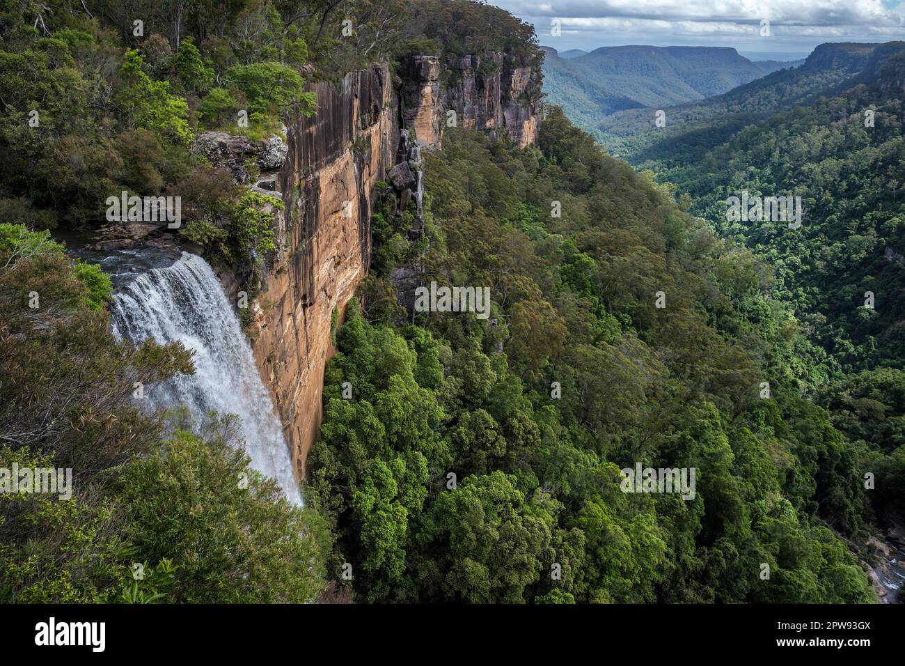 Fitzroy Falls, Morton National Park, New South Wales, Australia Stock ...