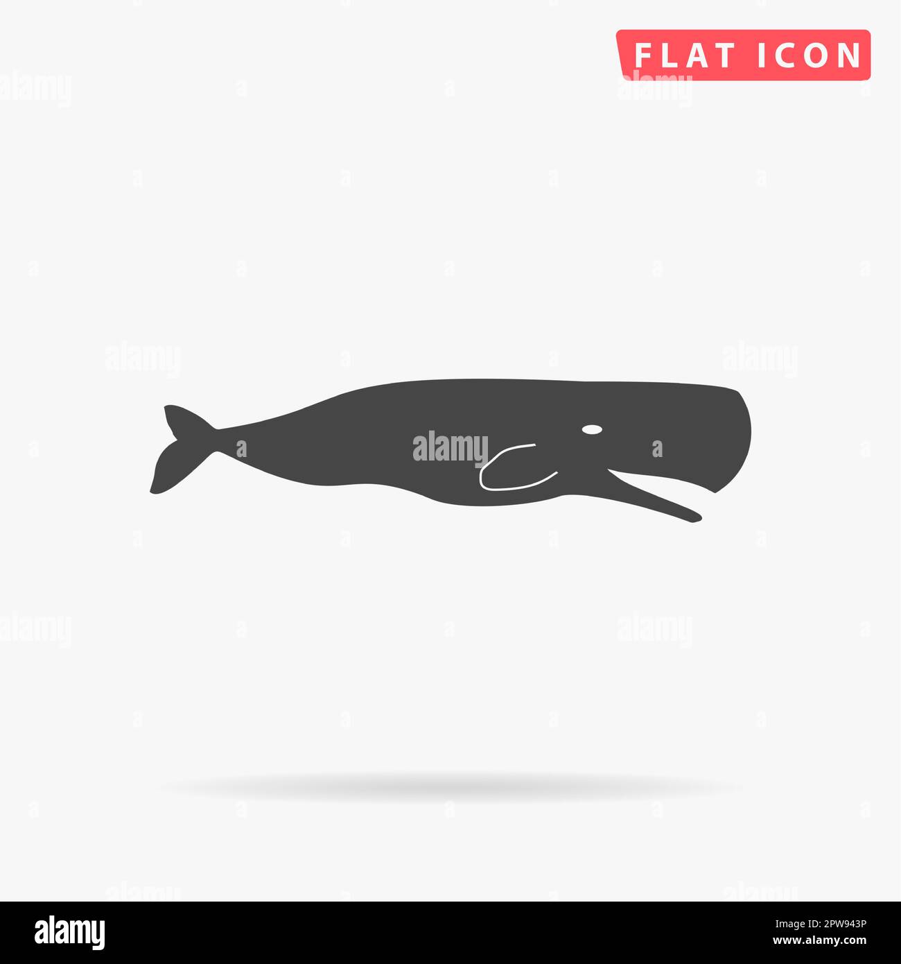 Sperm Whale. Simple flat black symbol with shadow on white background ...