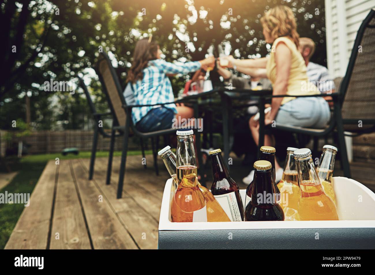 Chilled beers for a chilled bbq. a group of friends having a barbecue ...