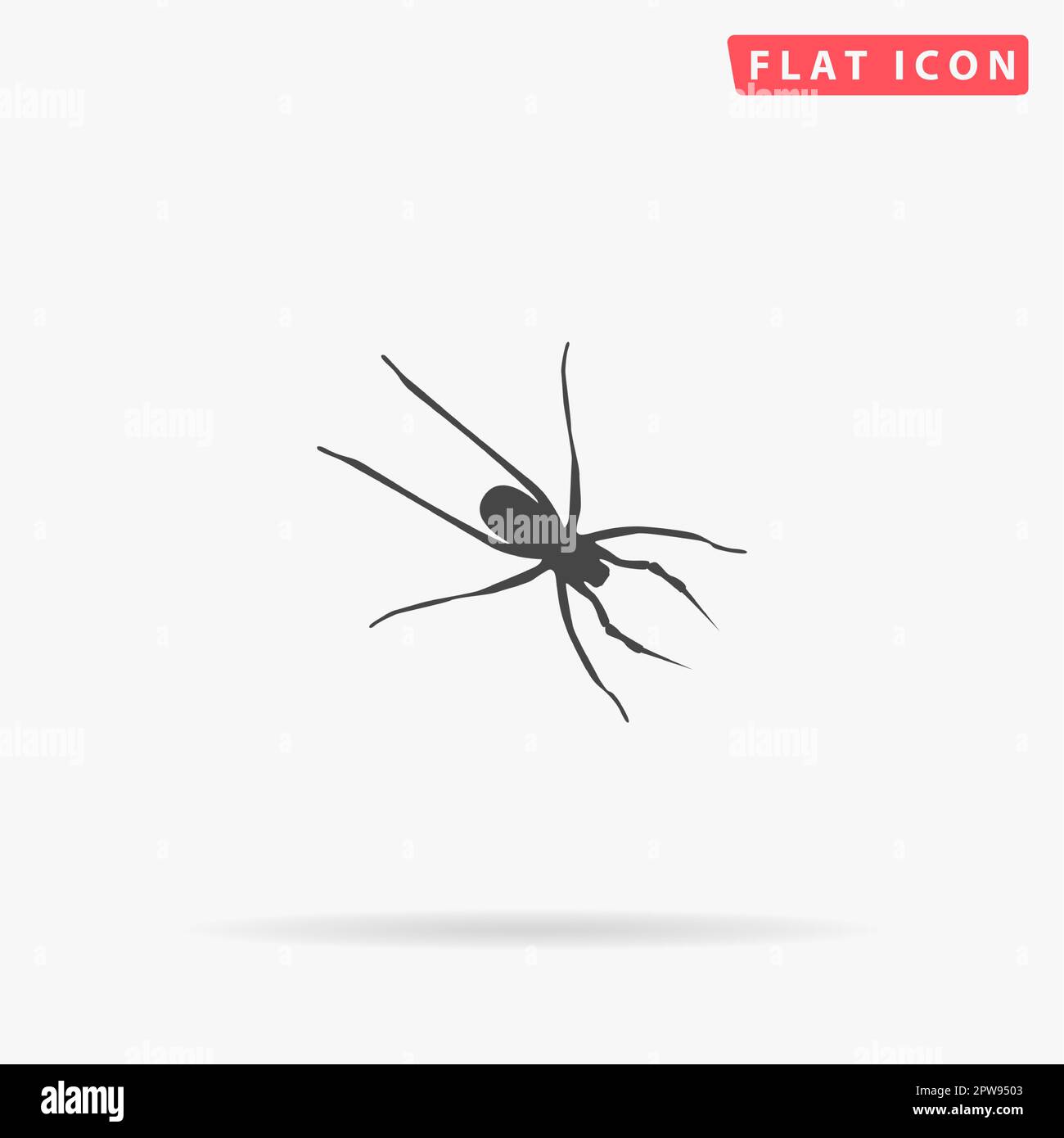 Spider. Simple flat black symbol with shadow on white background ...