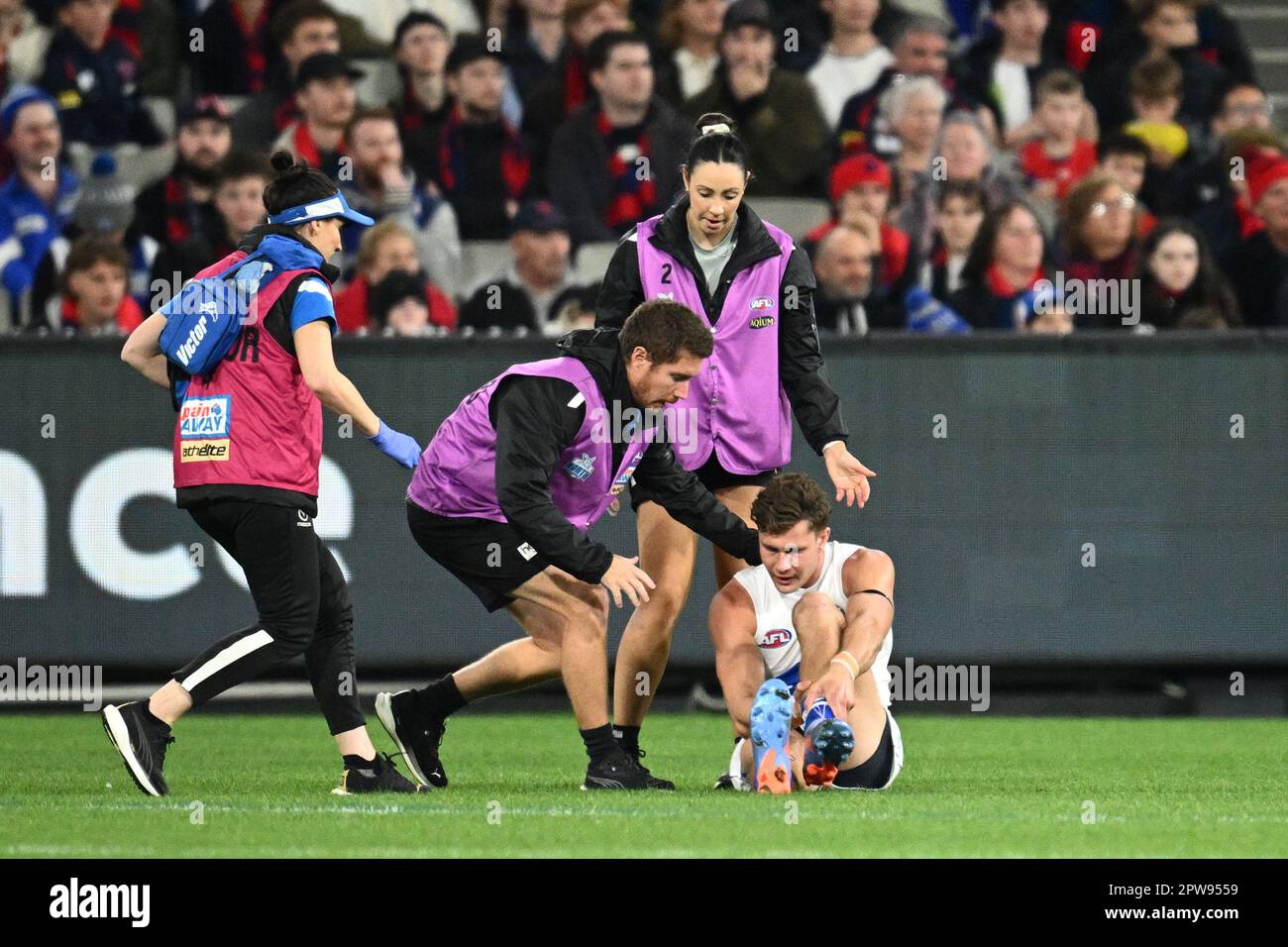 Charlie Comben of North Melbourne is treated for an injury during the ...