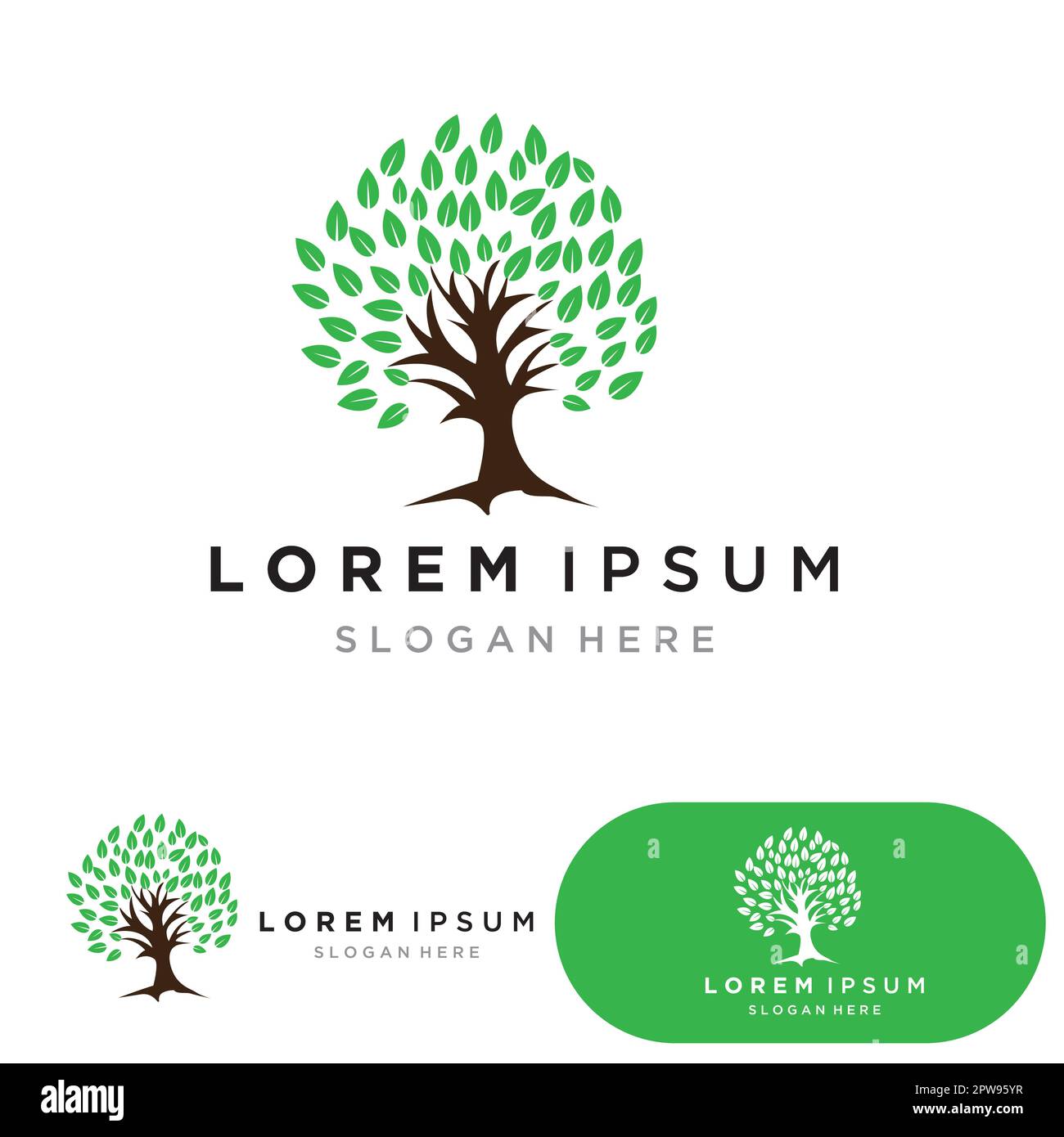 Tree of life illustration Stock Vector Images - Alamy