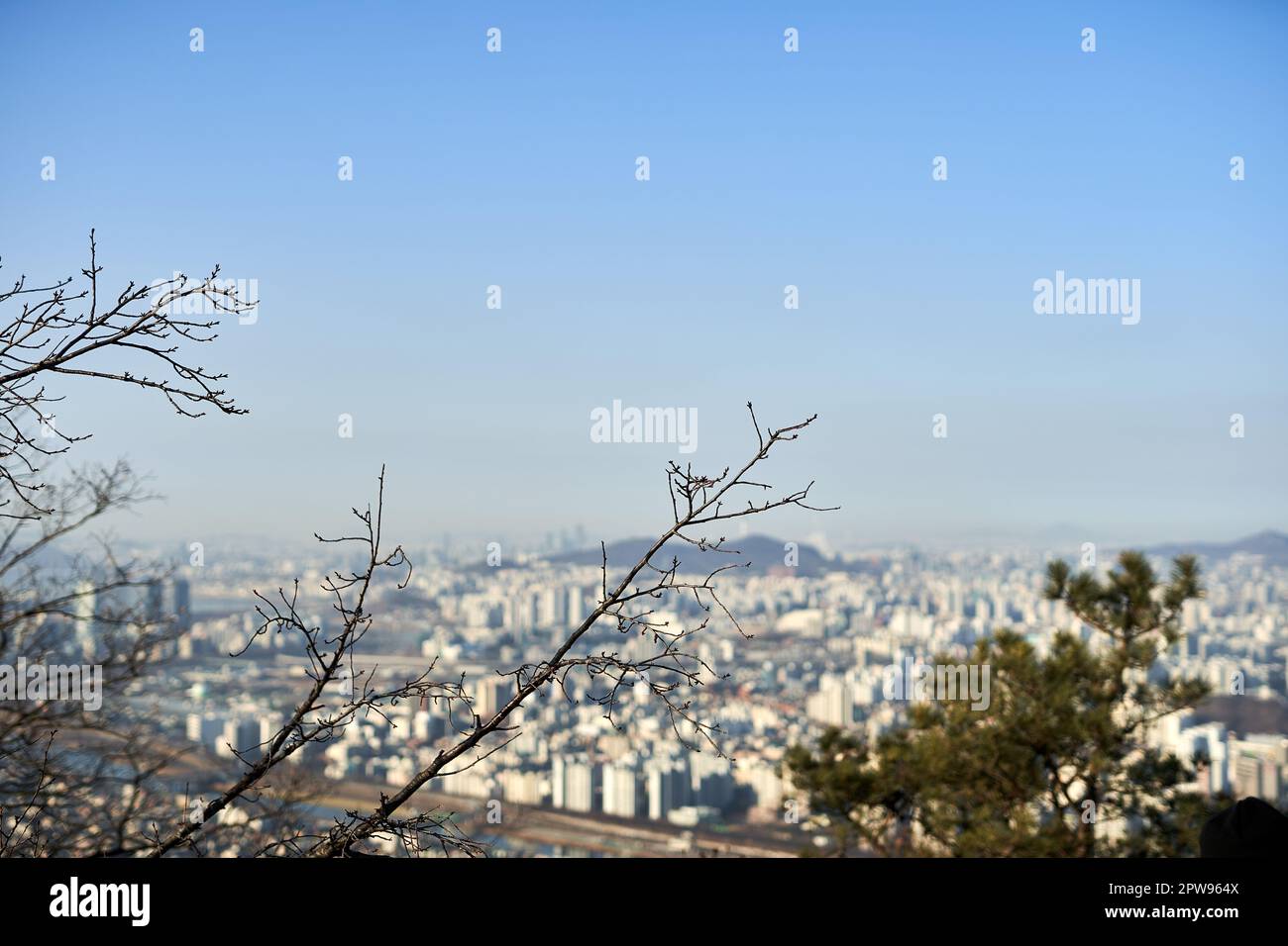 Seoul aesthetic hi-res stock photography and images - Alamy