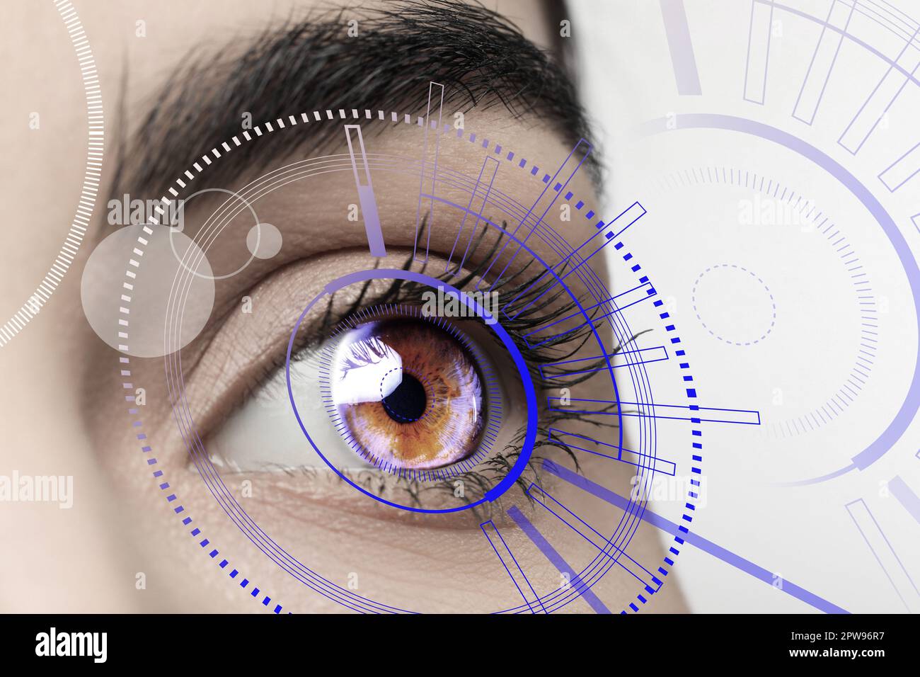 Human sight process hi-res stock photography and images - Alamy