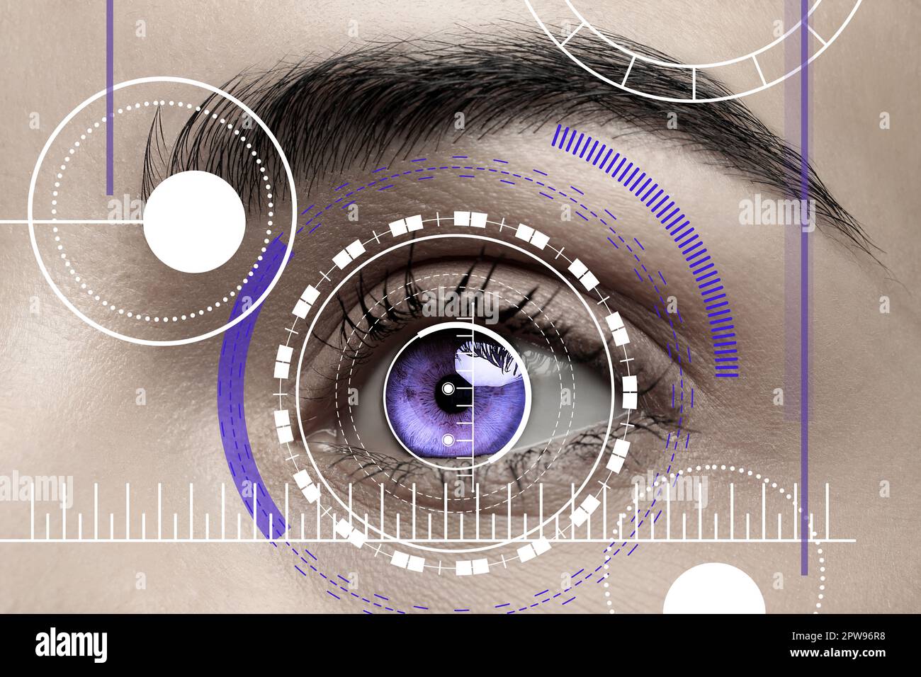 Human sight process hi-res stock photography and images - Alamy