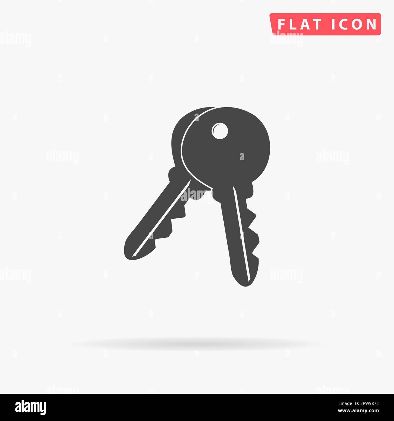 Keys - Unlock tool. Simple flat black symbol with shadow on white ...