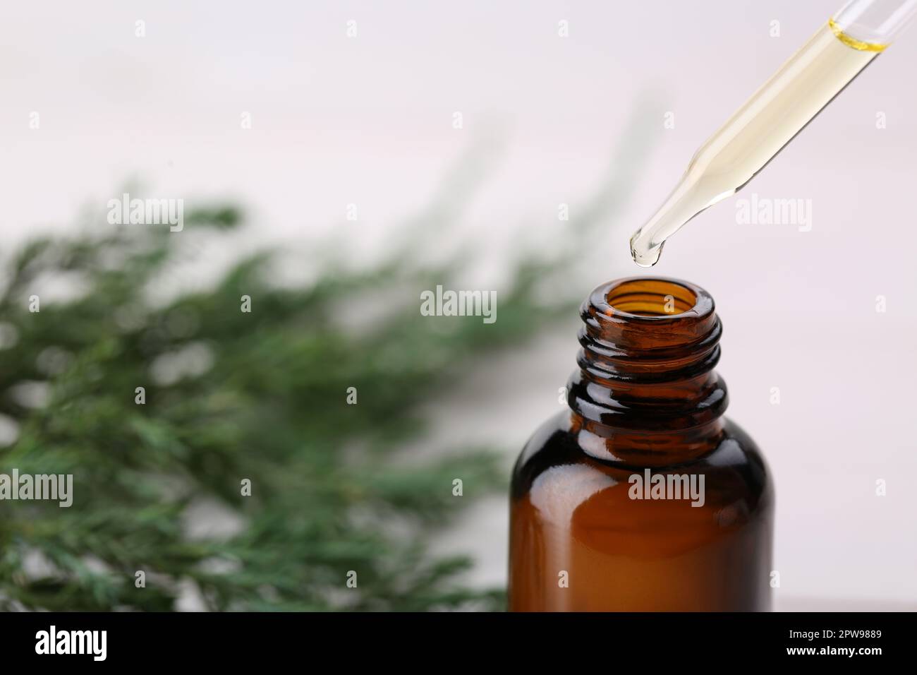 Essential oil dripping from pipette into bottle on blurred background ...