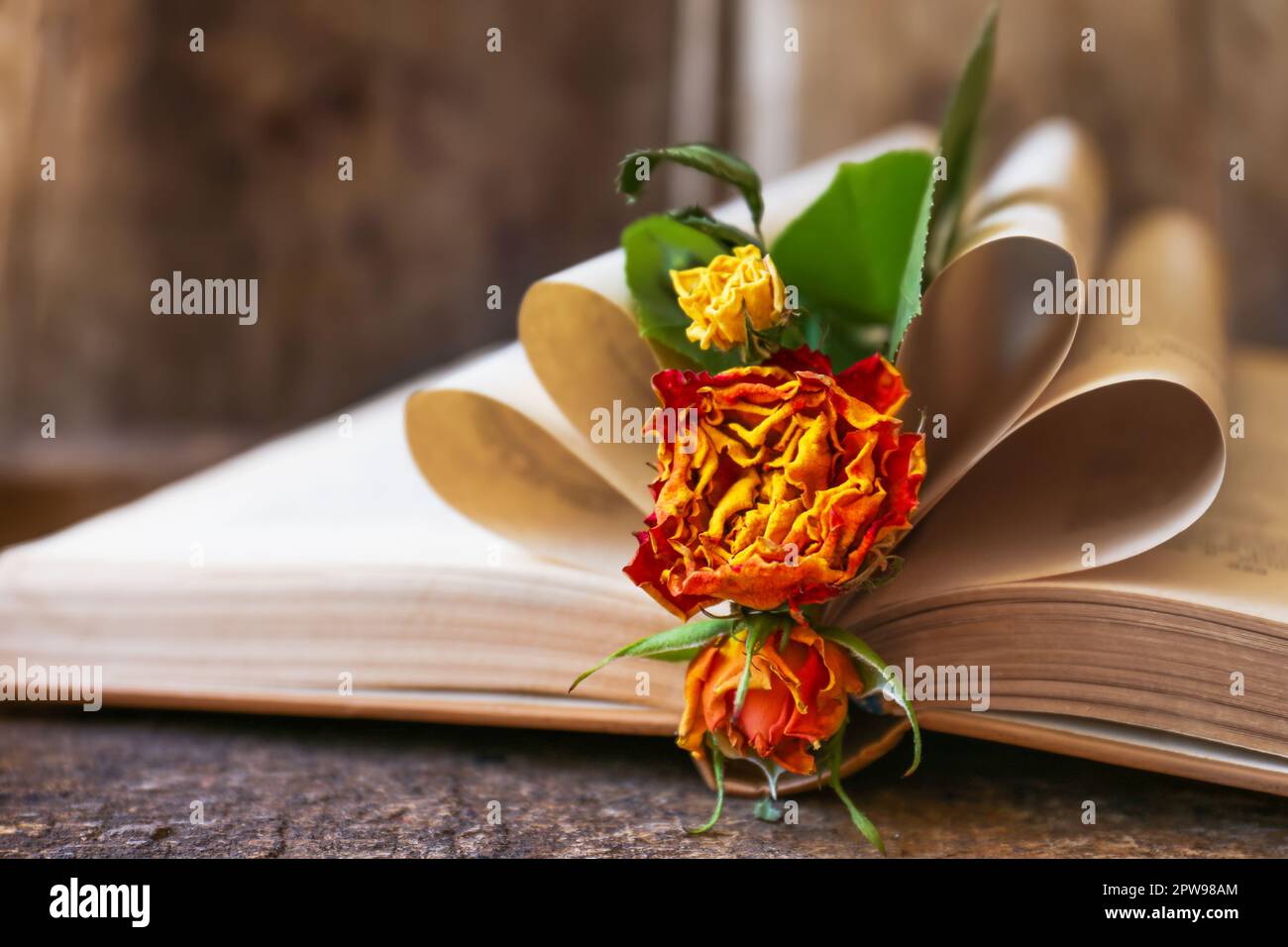 Closeup folded book pages hi-res stock photography and images - Alamy