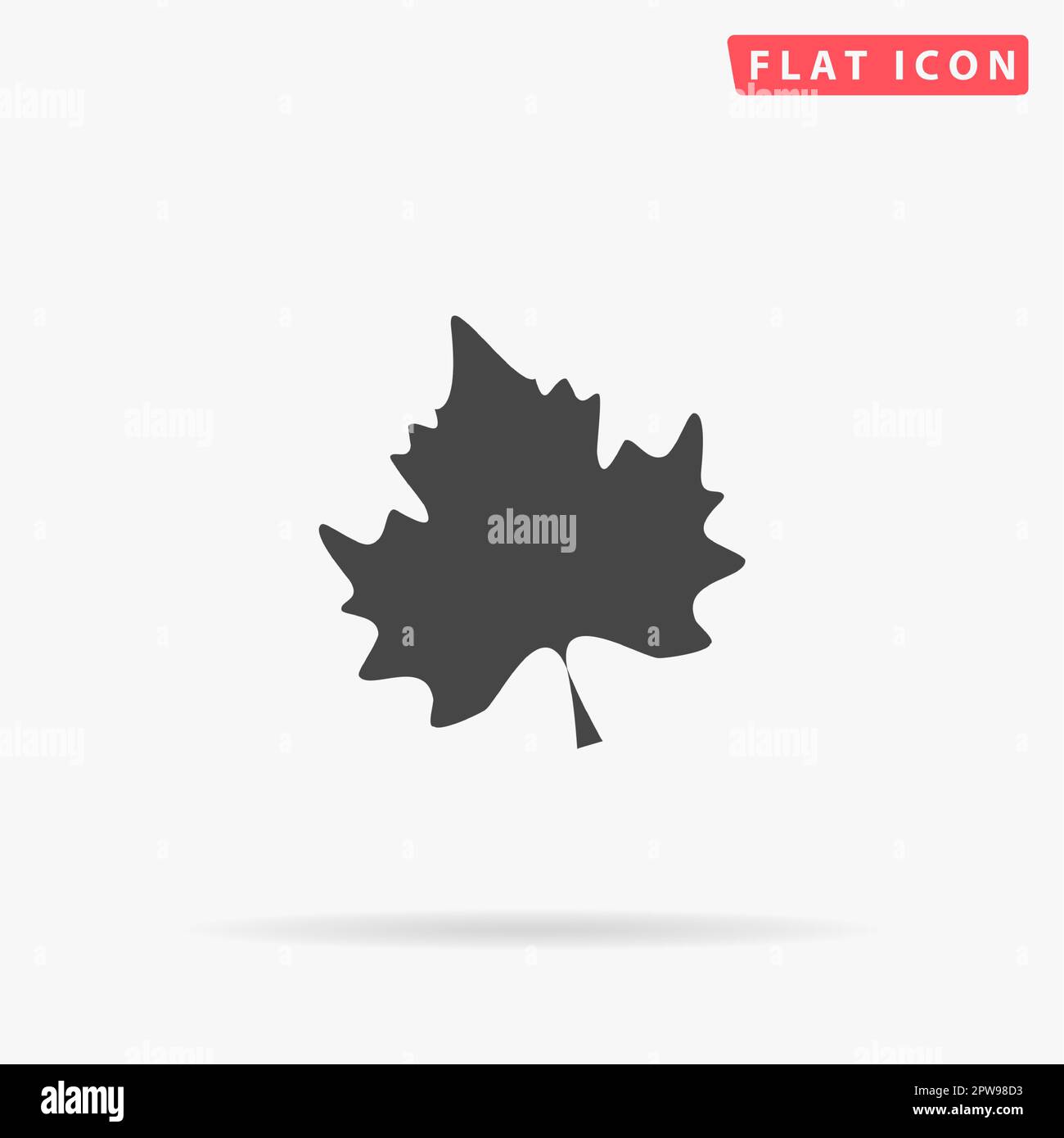 Maple Leaf. Simple flat black symbol with shadow on white background ...