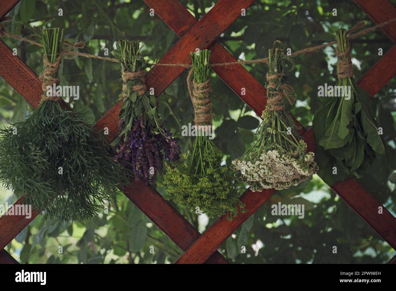 Harvesting rope hi-res stock photography and images - Alamy