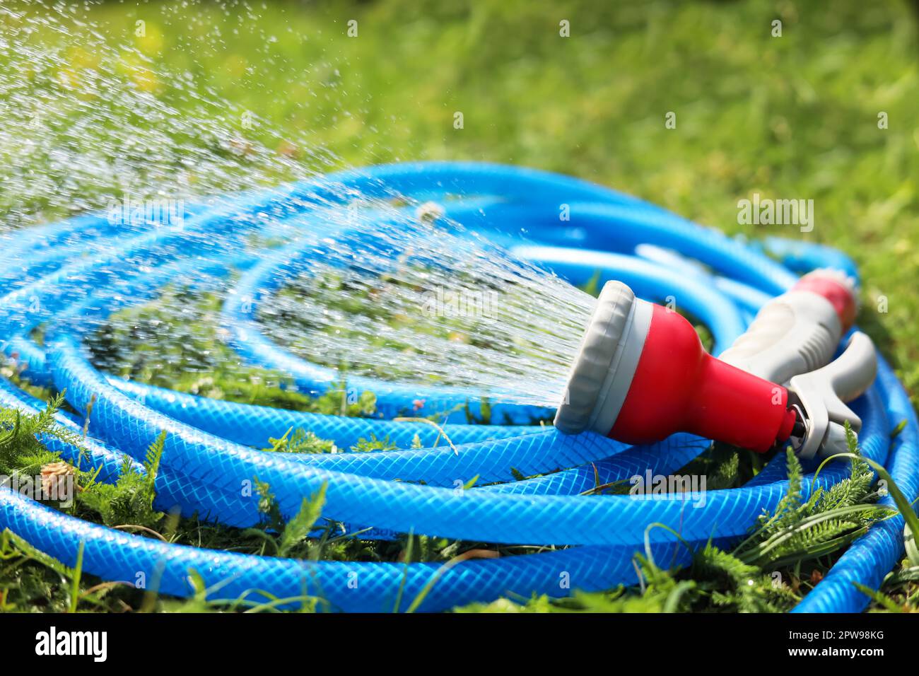 Pour water and grass closeup hi-res stock photography and images - Alamy