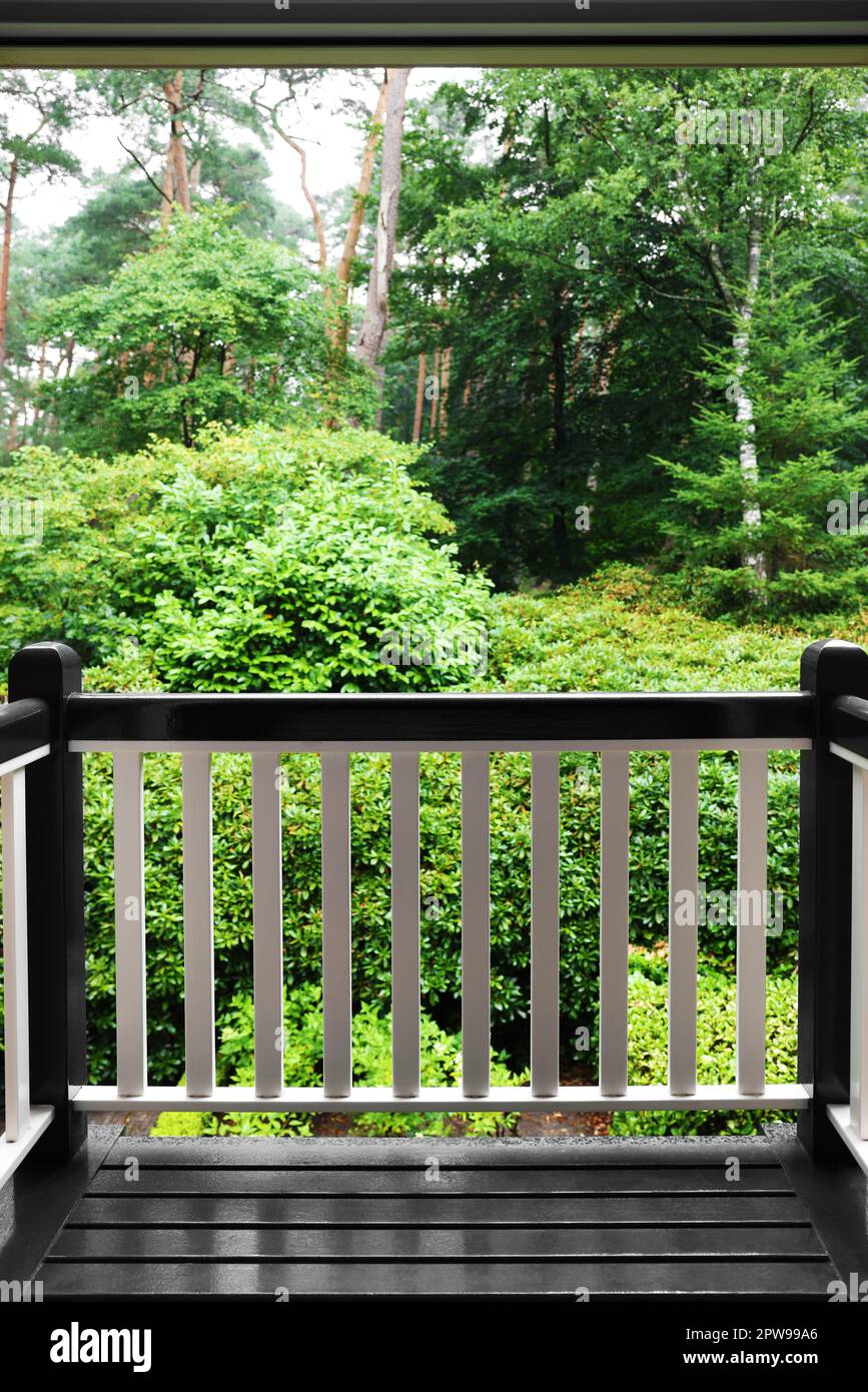 Beautiful forest with many different green plants, view from balcony ...