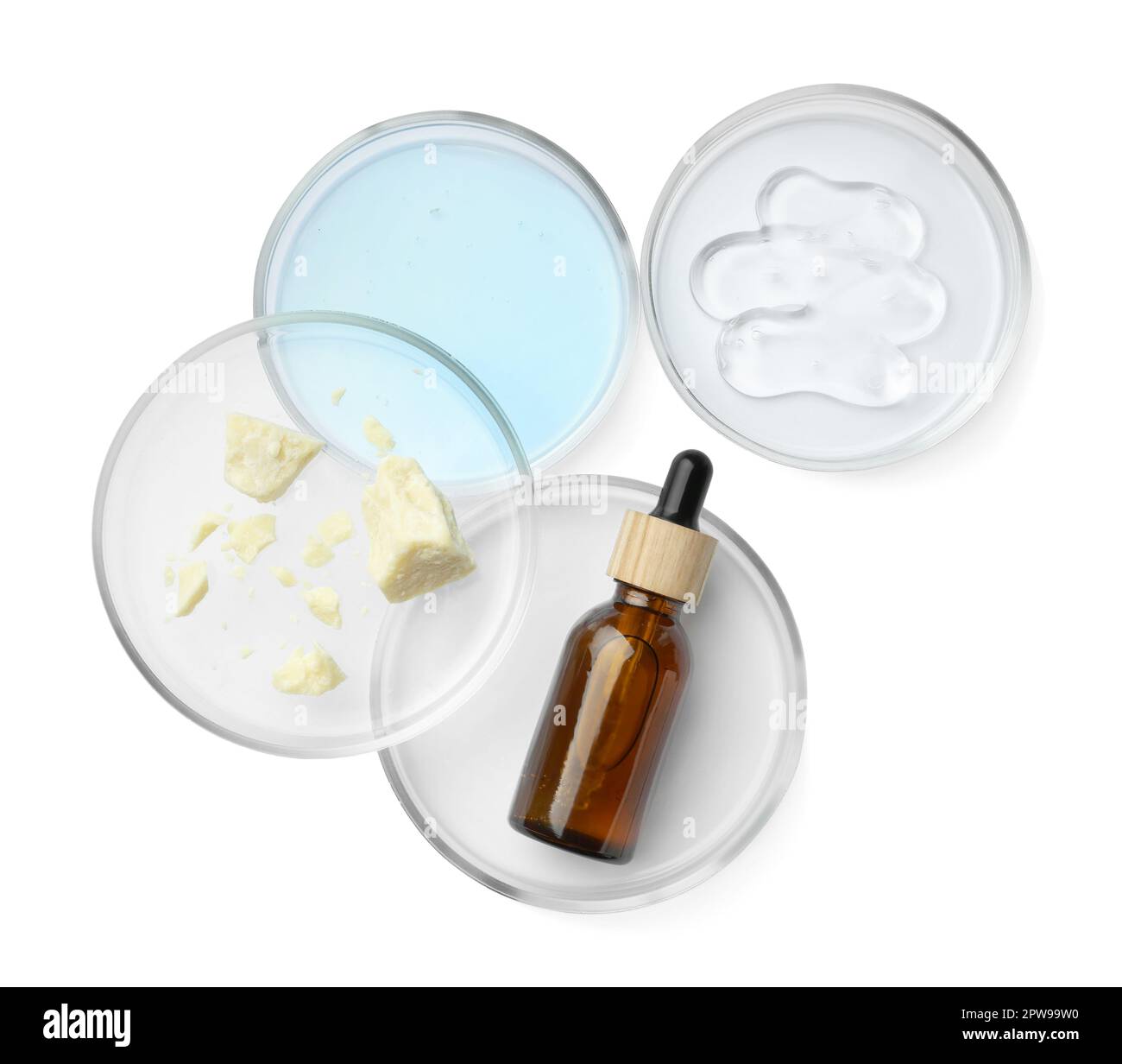 Many Petri dishes and cosmetic products on white background, top view ...
