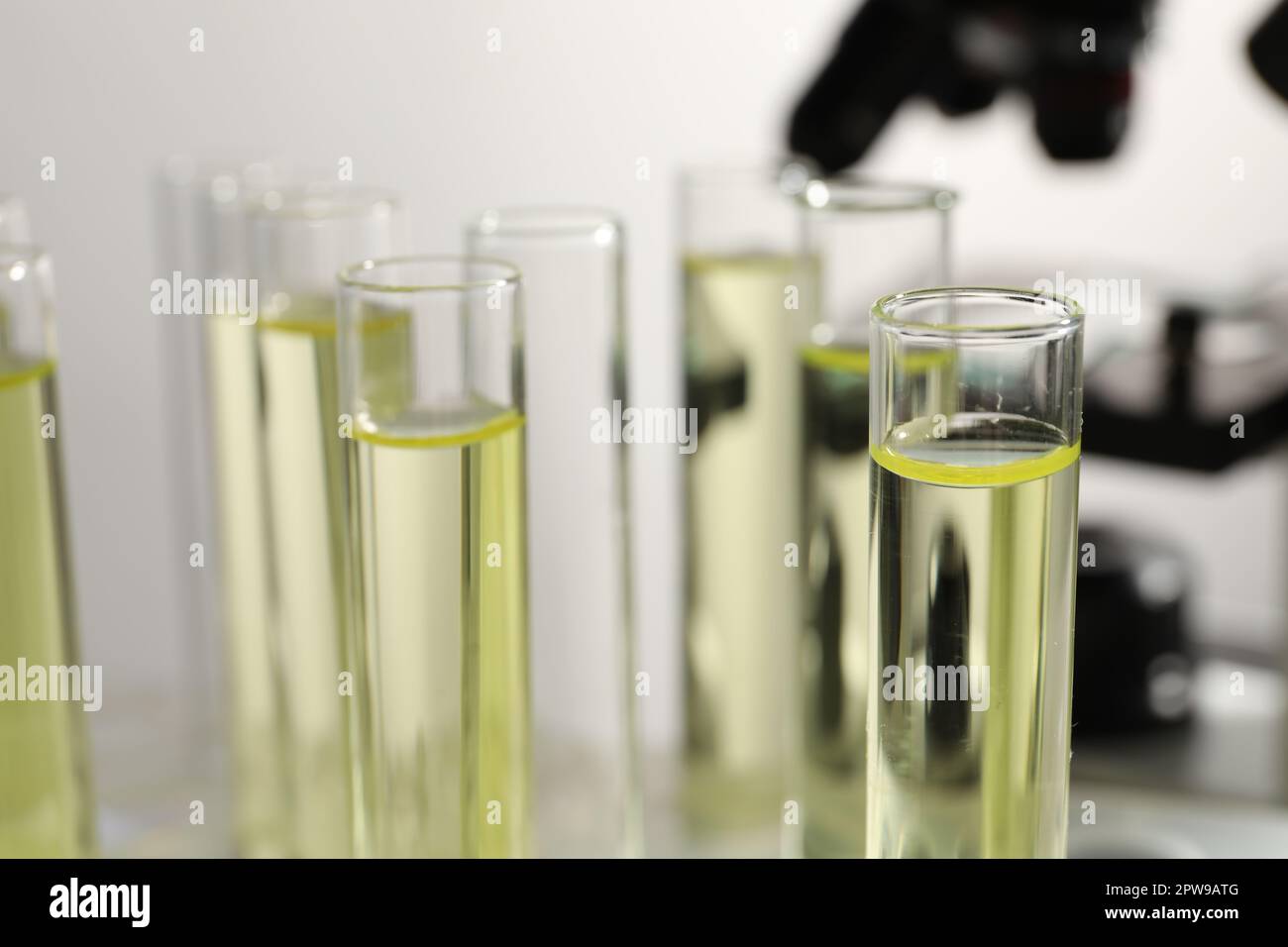 Test tubes with urine samples for analysis in laboratory, closeup Stock ...