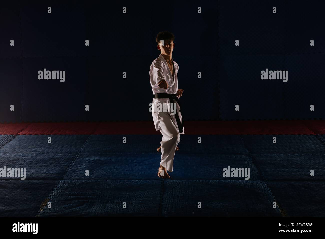 Zenkutsu dachi hi-res stock photography and images - Alamy