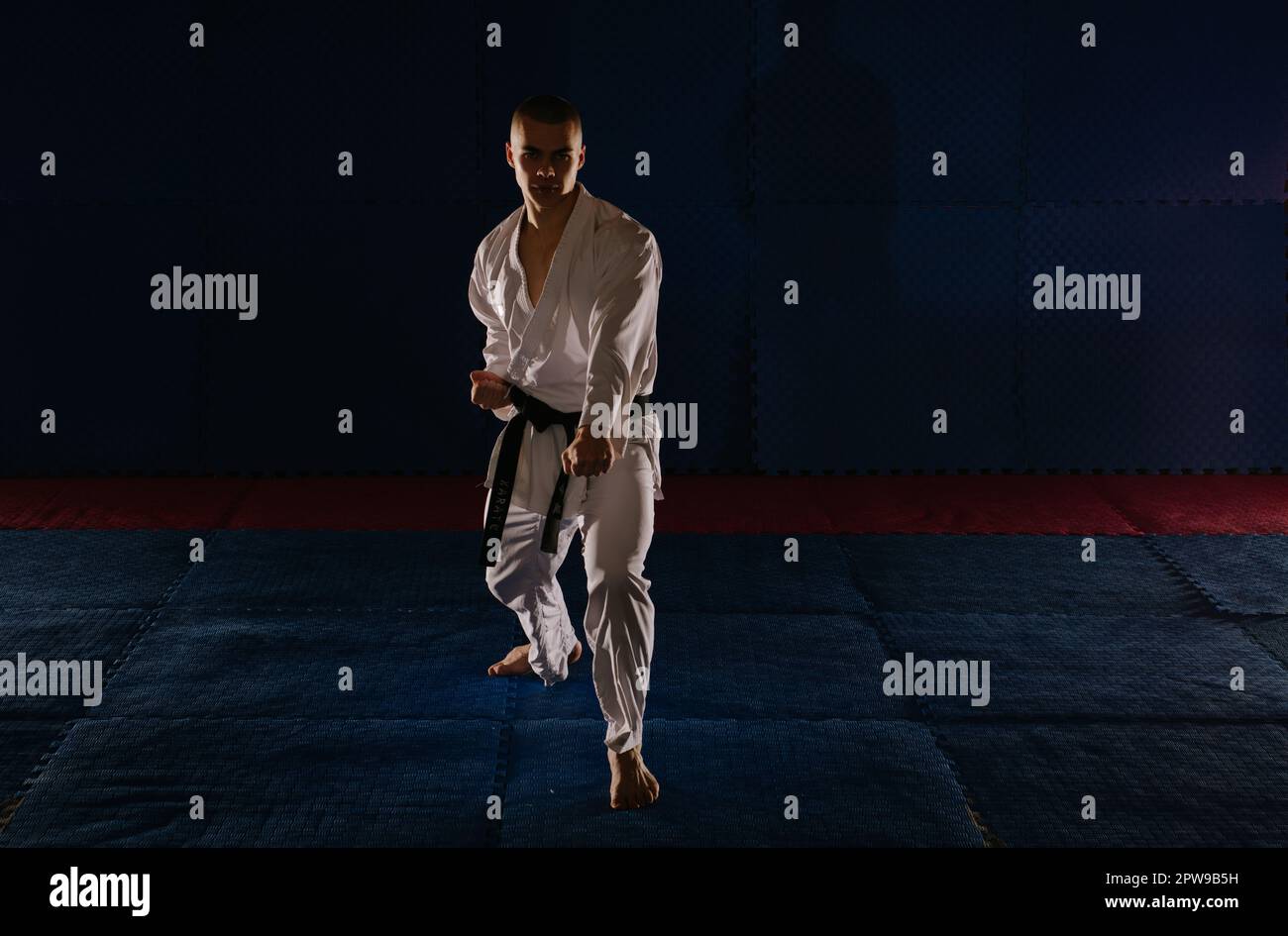 Silhouette of a young karatist doing some karate pose while standing at ...