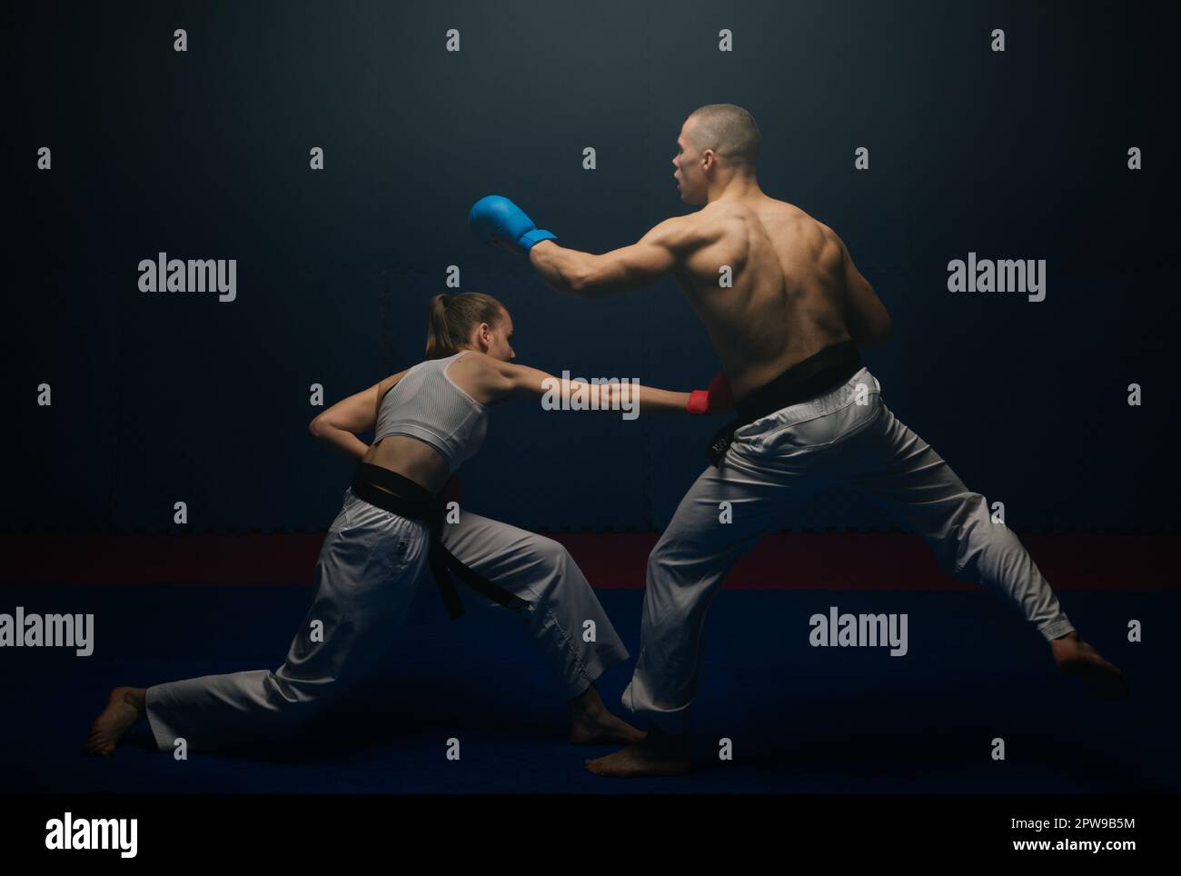 Two good looking karate friends doing karate pose at the studio Stock ...