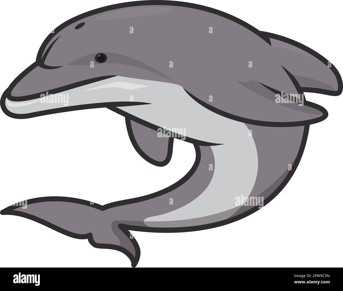 Detailed Cute Dolphin Jumping Gesture Illustration Stock Vector Image ...