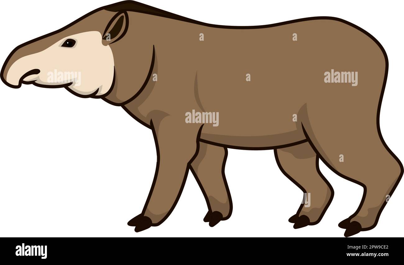 Detailed Tapir with Standing Gesture Illustration Stock Vector Image ...