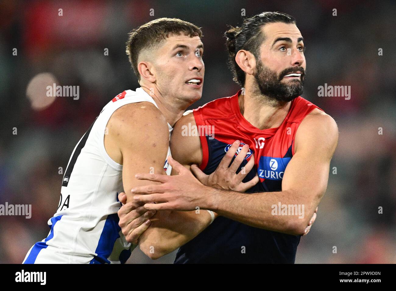 Callum Coleman-Jones of North Melbourne and Brody Grundy of Melbourne ...