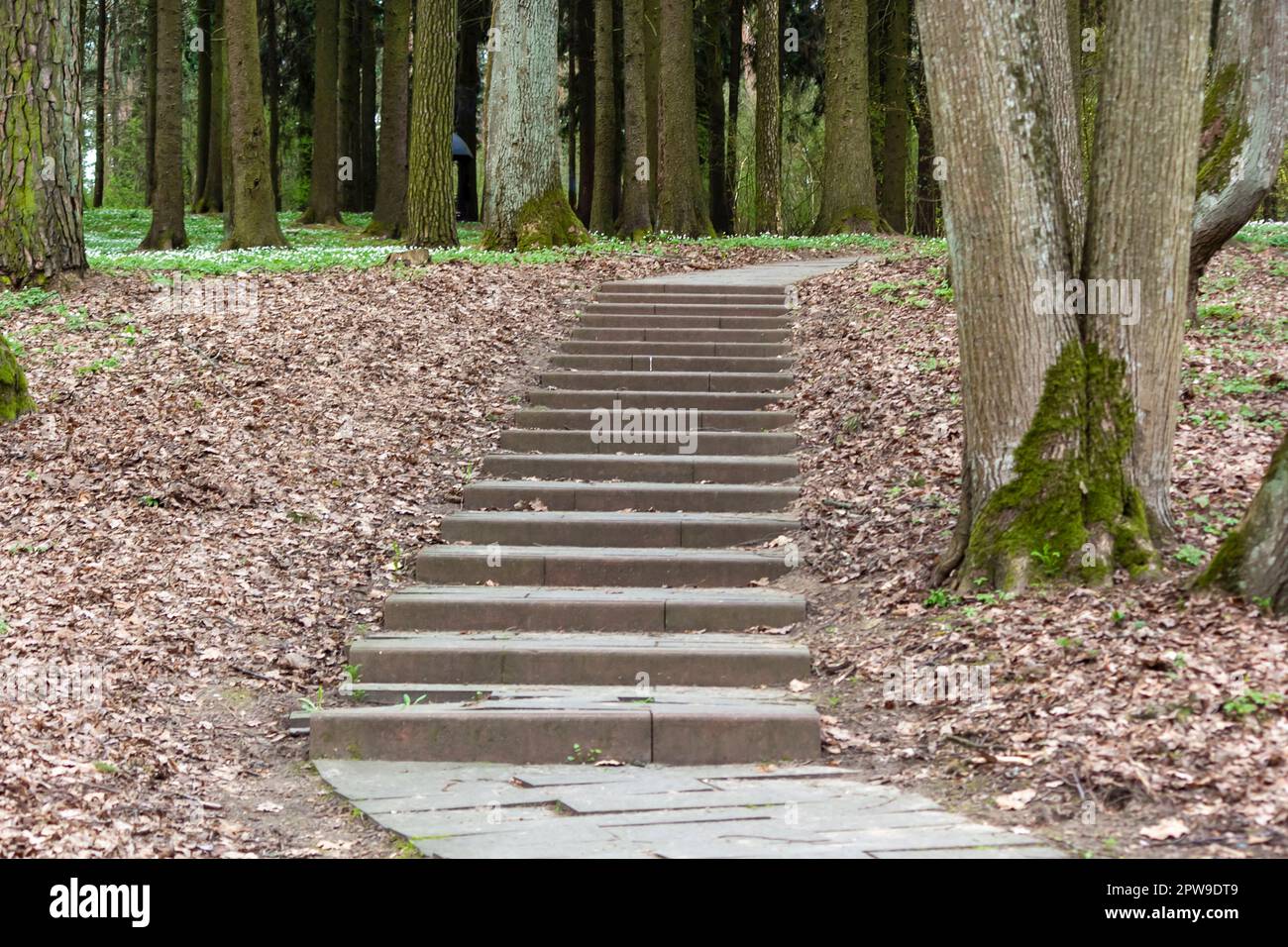Park landscape. Stone paved stairs in park Stock Photo - Alamy