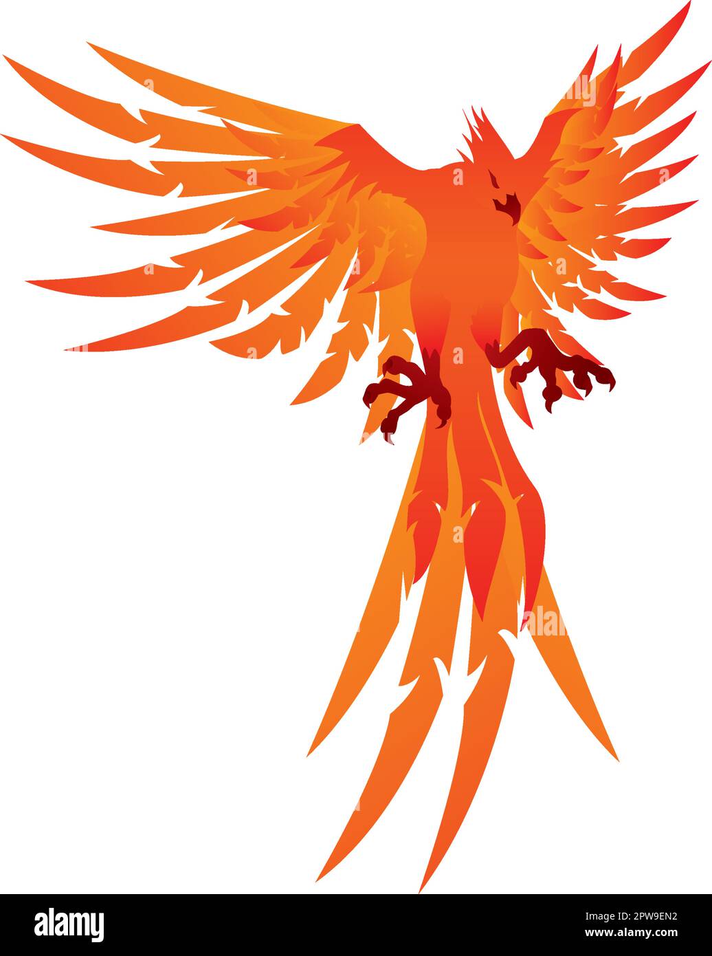 Detailed Flying Phoenix Bird Illustration Stock Vector Image & Art - Alamy