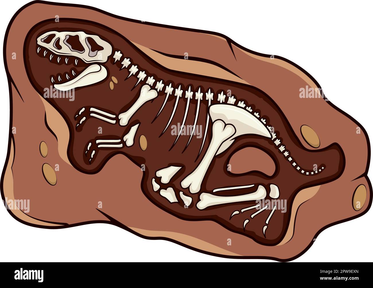 Detailed Dinosaur Fossil Illustration with Cartoon Style Stock Vector ...