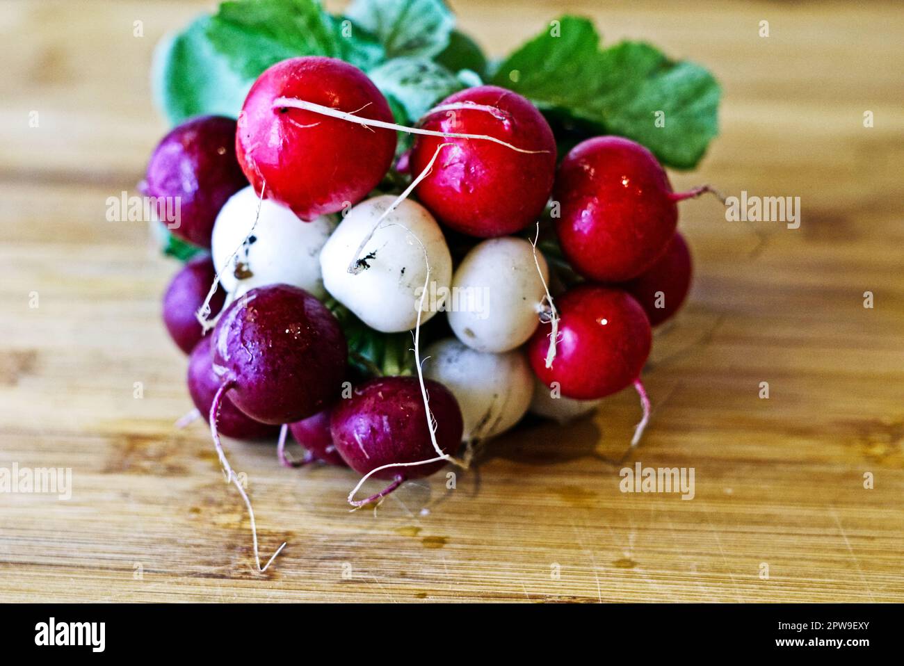 bunch of colorful radish Stock Photo - Alamy
