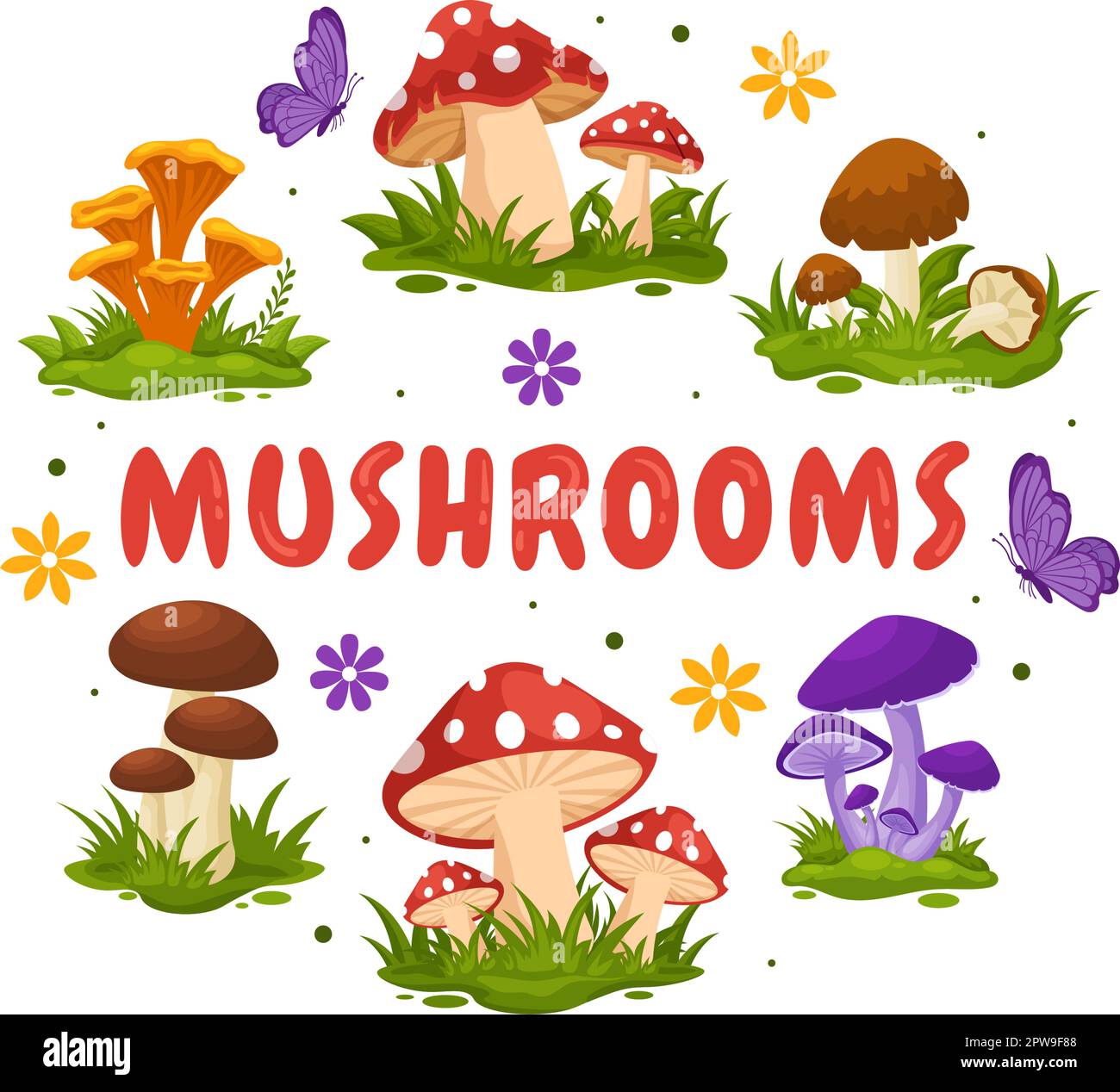 Mushrooms Illustration with Different Mushroom, Grass and Insects for ...