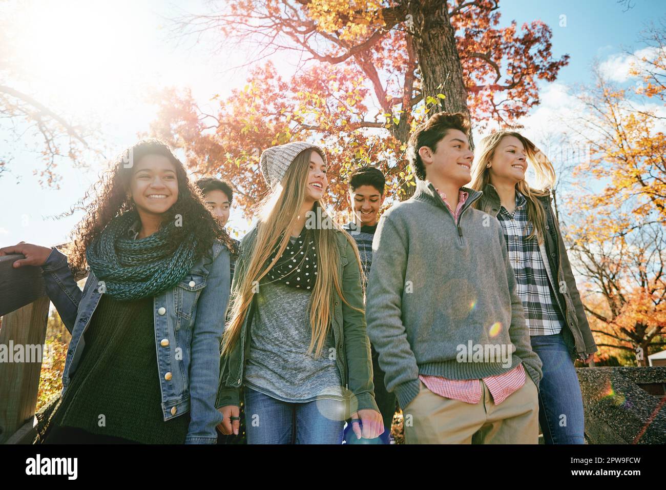 Weve always got each others backs. a group of teenage friends enjoying ...