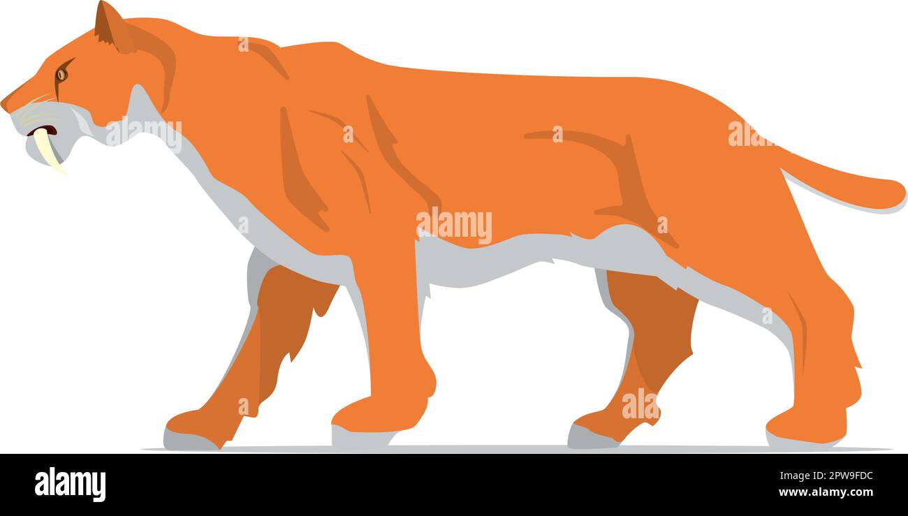 Detailed Saber-Toothed Tiger Illustration Stock Vector Image & Art - Alamy