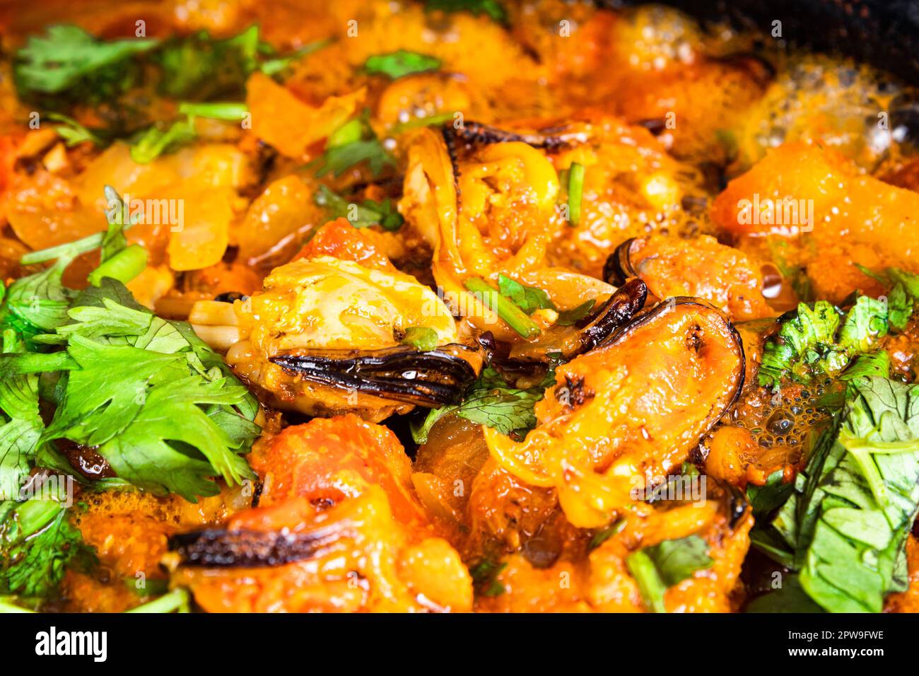 Charru mussel hi-res stock photography and images - Alamy