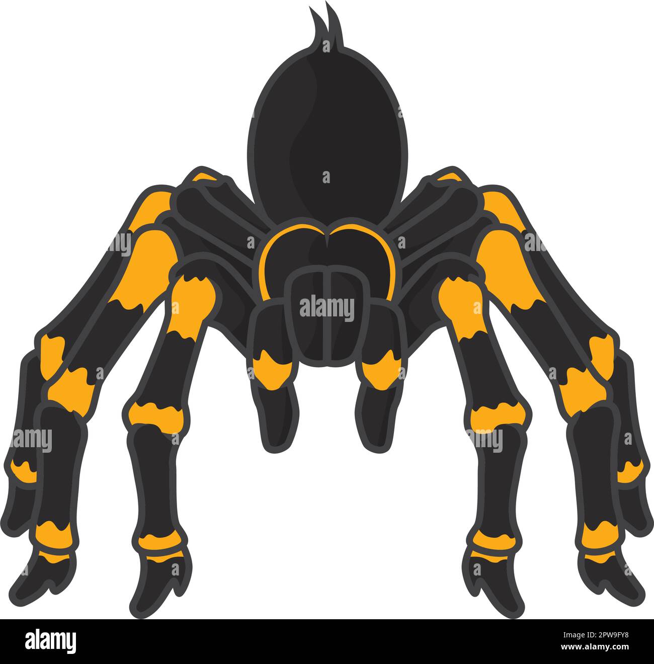 Standing spider hi-res stock photography and images - Alamy