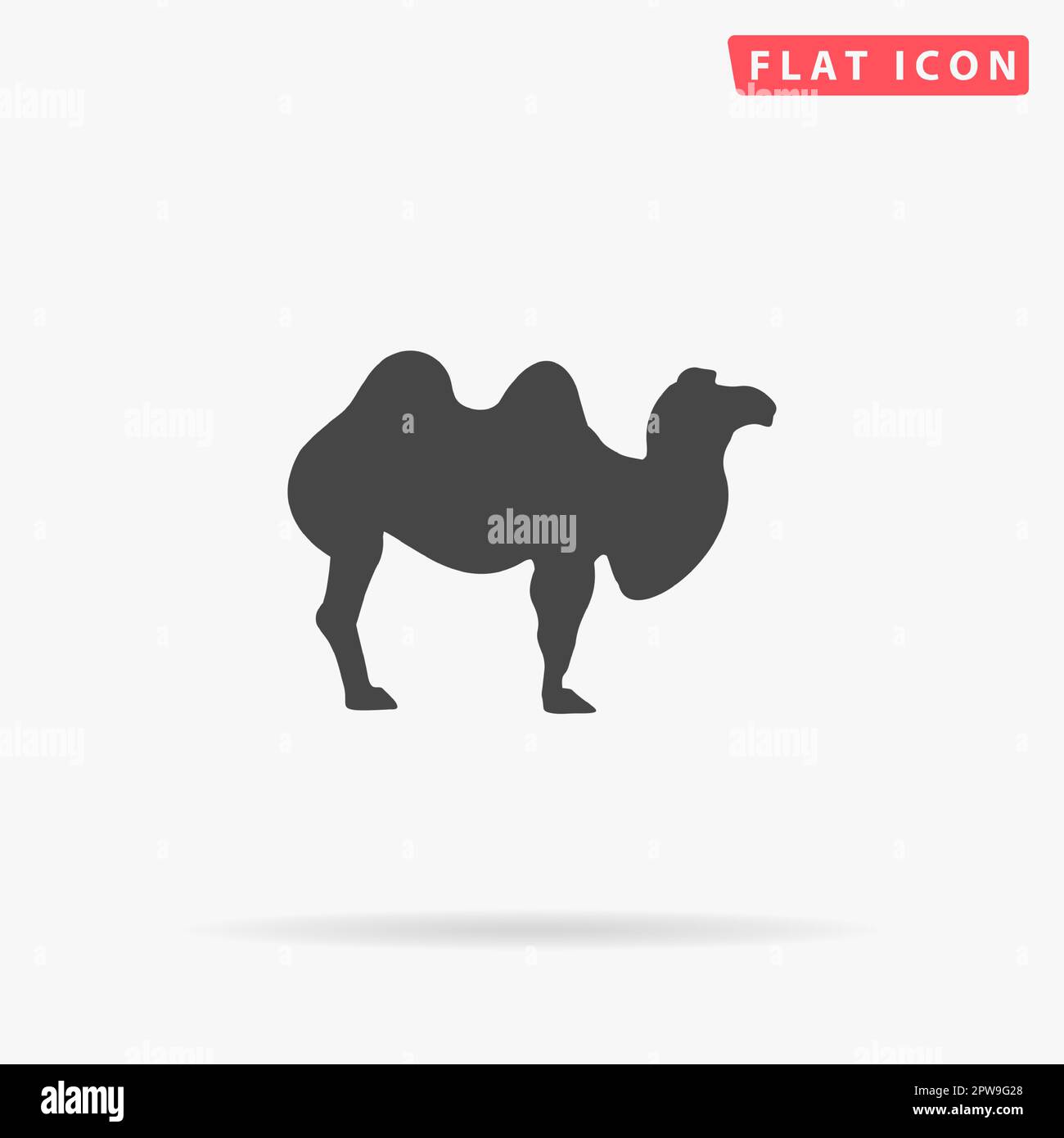 Camel. Simple flat black symbol with shadow on white background. Vector ...