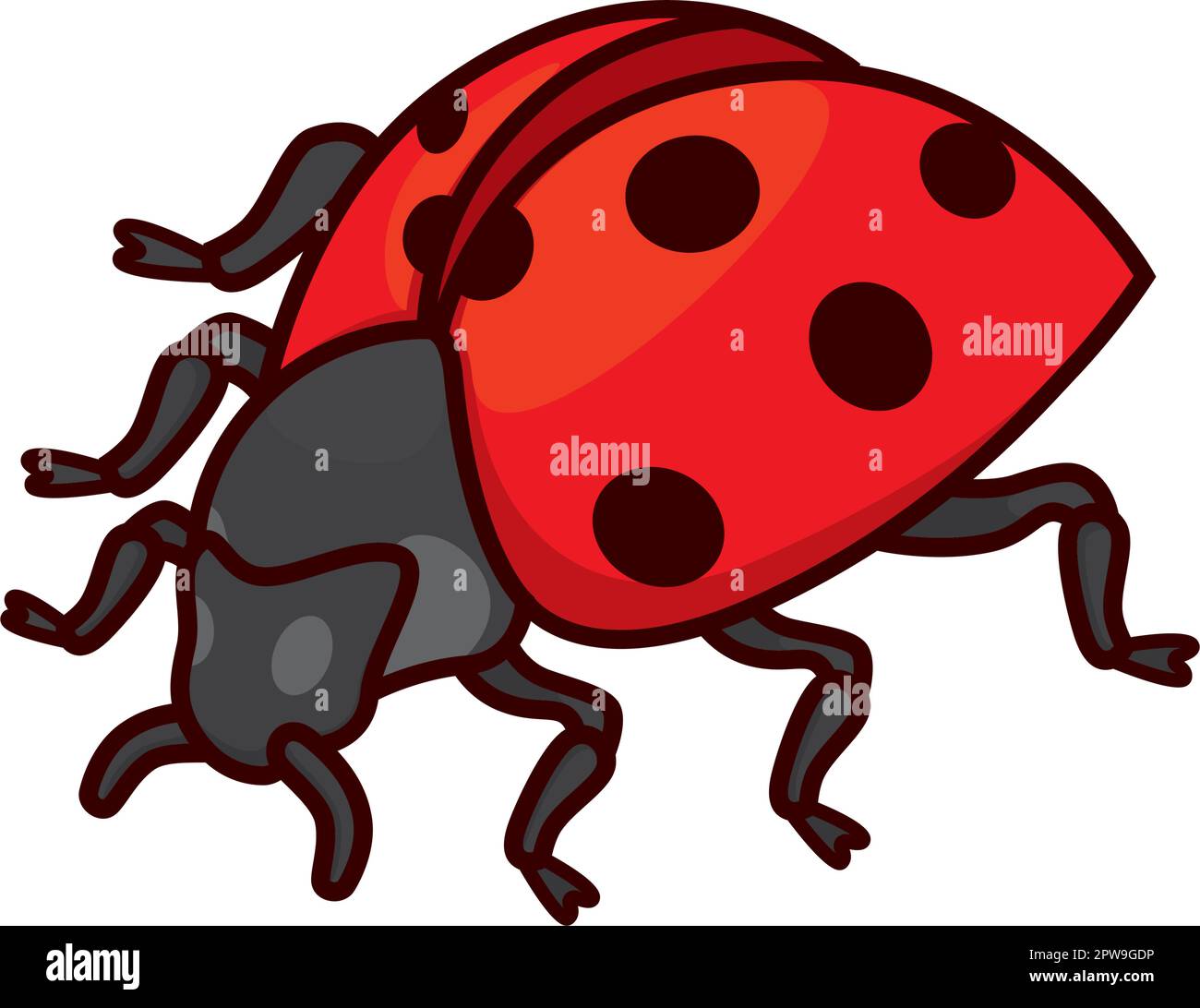 Detailed ladybug hi-res stock photography and images - Alamy