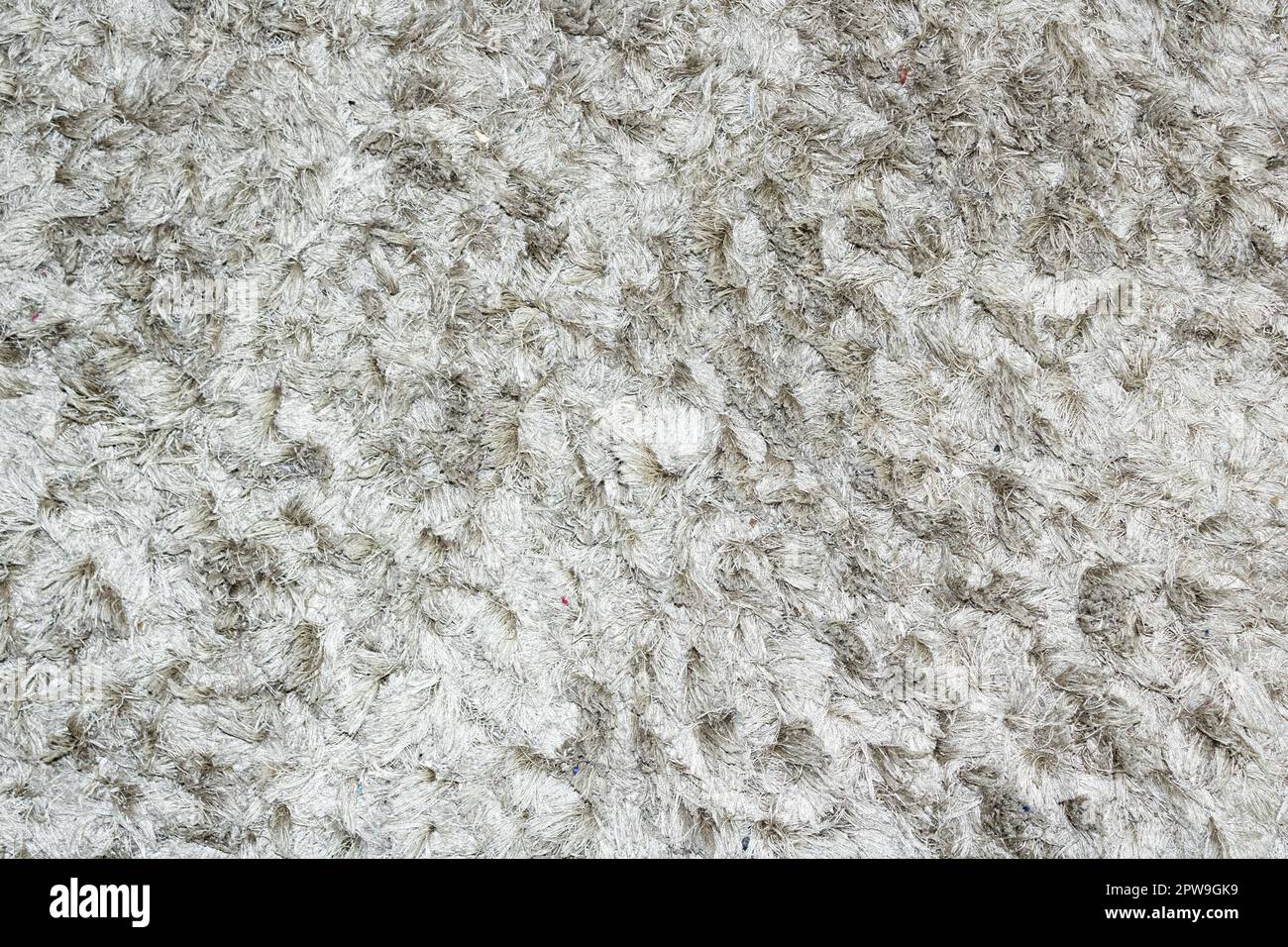 White and gray shaggy rug texture Stock Photo - Alamy