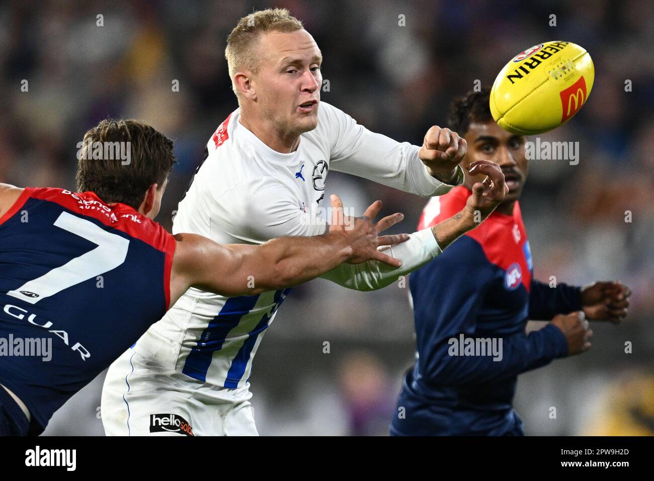 Jaidyn Stephenson of North Melbourne during the AFL Round 7 match ...