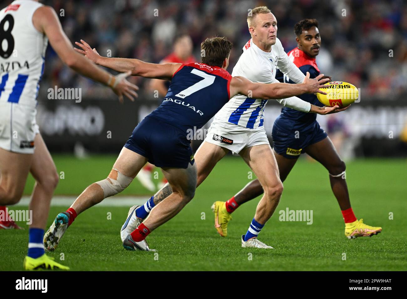 Jaidyn Stephenson of North Melbourne during the AFL Round 7 match ...