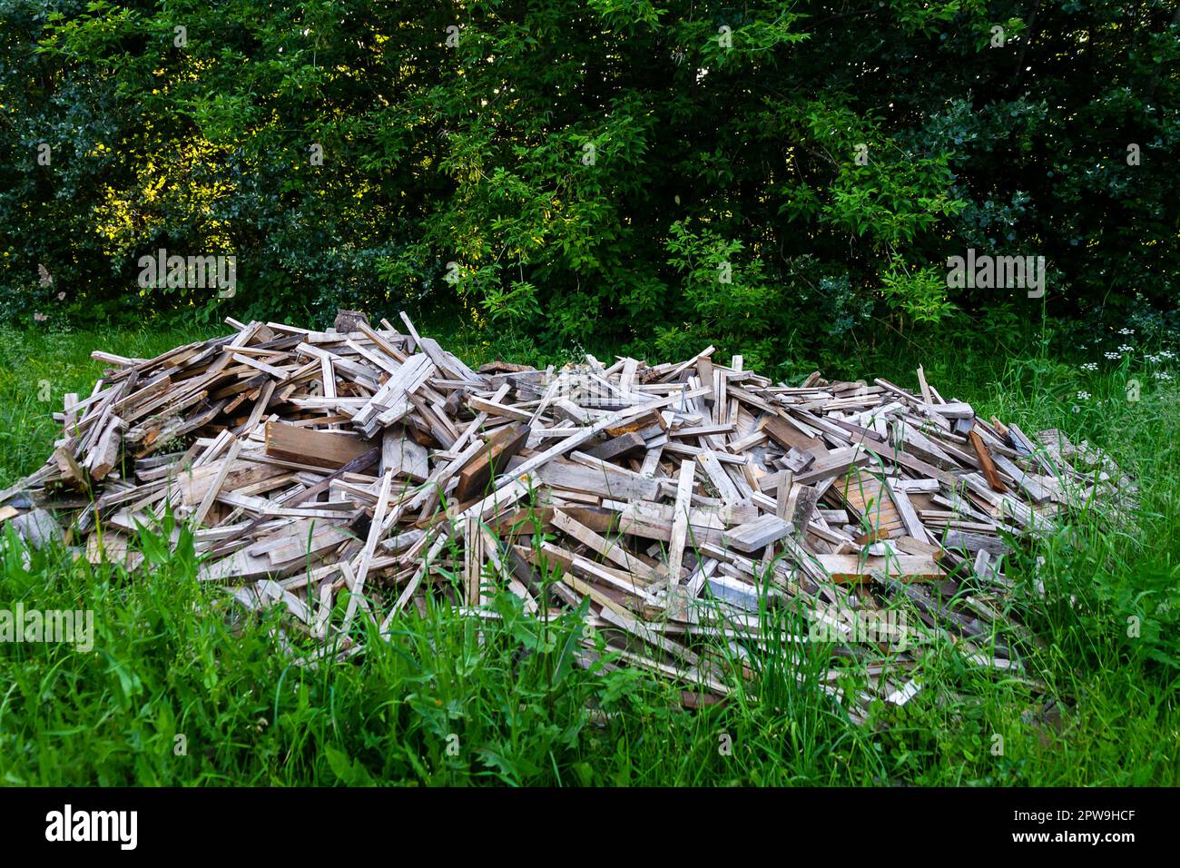 Pile of old timber wood on a backyard. Sawn old boards for firewood ...