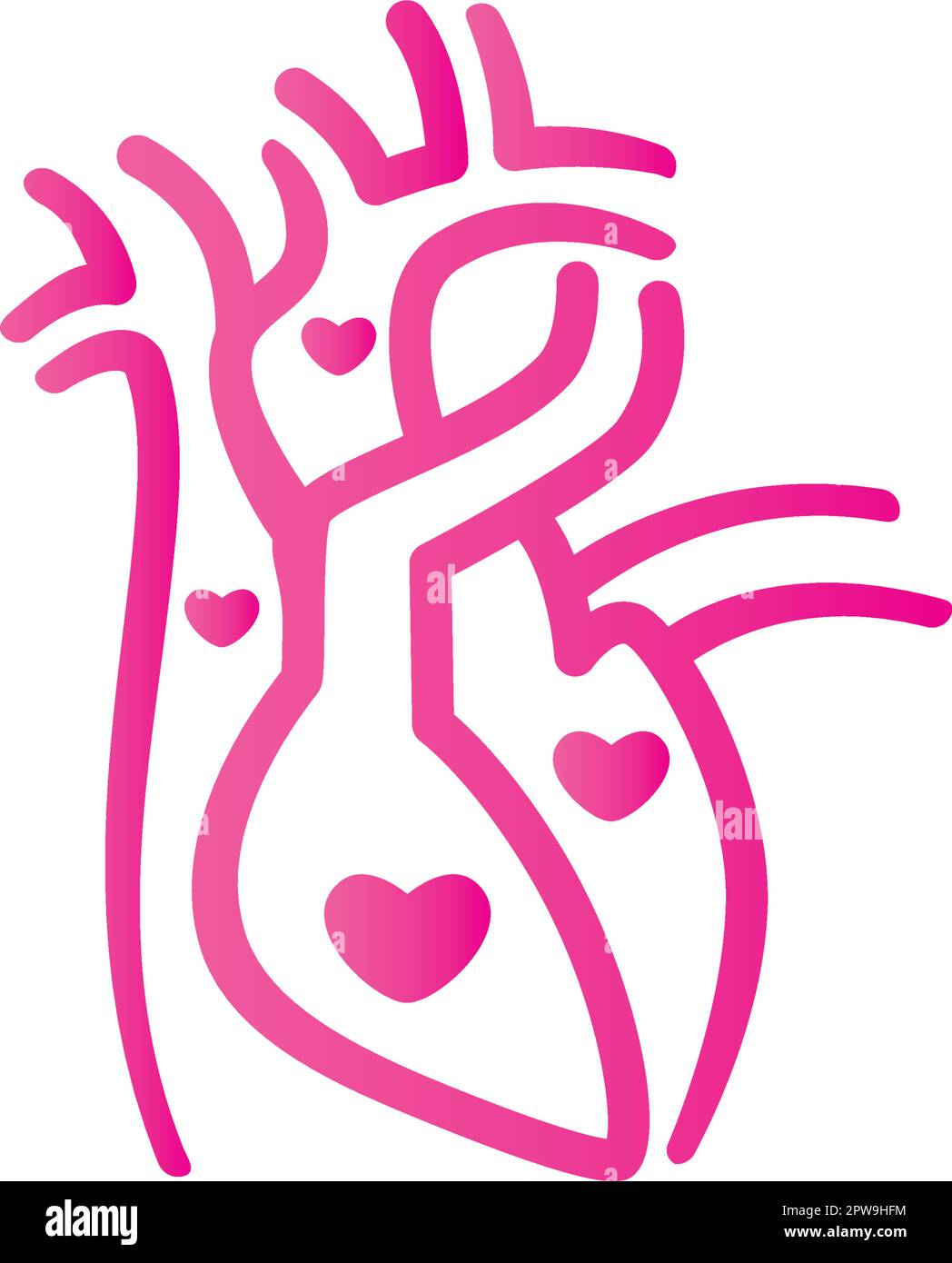 Healthy Human Heart and Blood Flow with Love Symbol Stock Vector Image ...