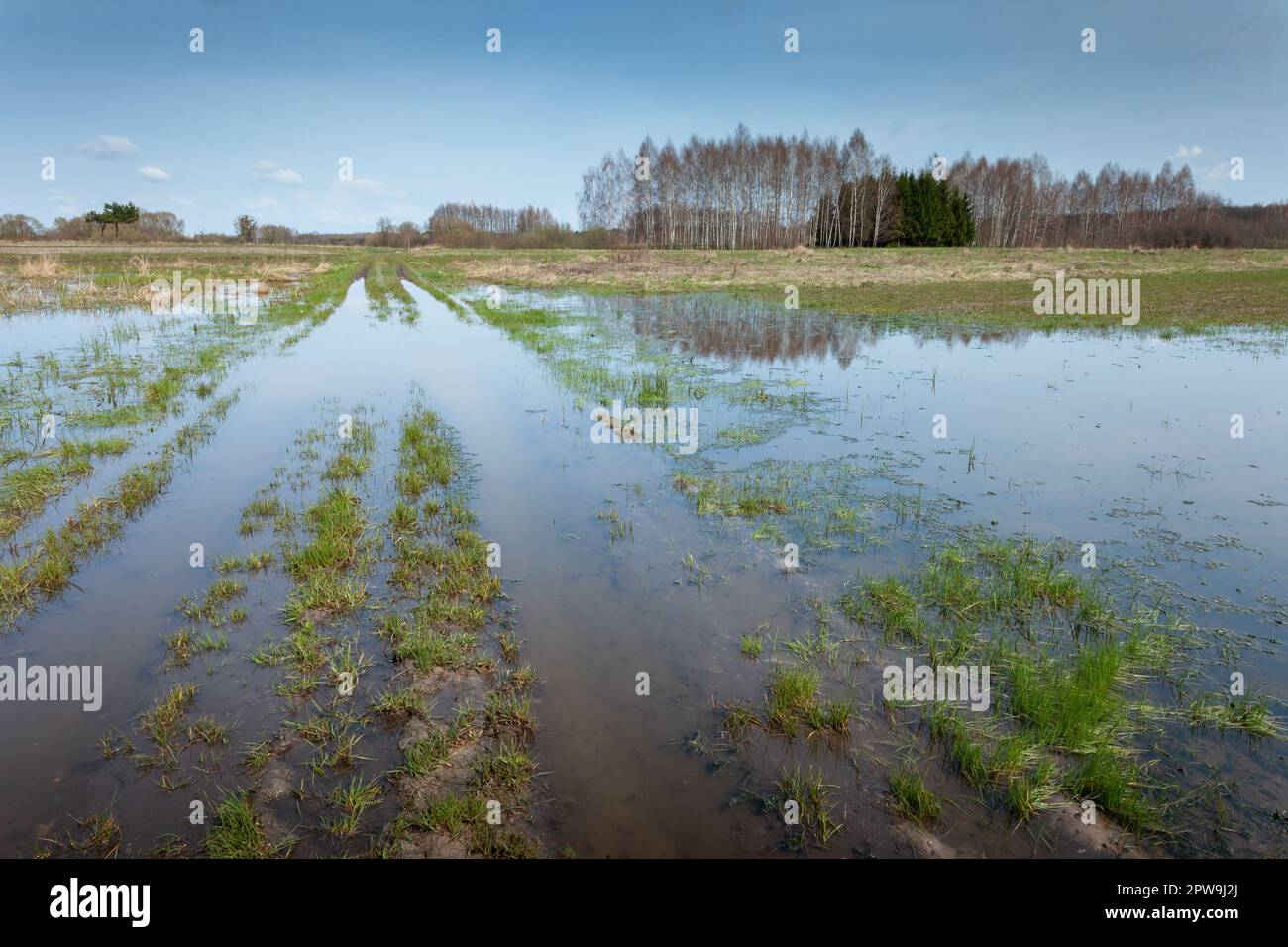 Flooded farmland fields in rain hi-res stock photography and images - Alamy