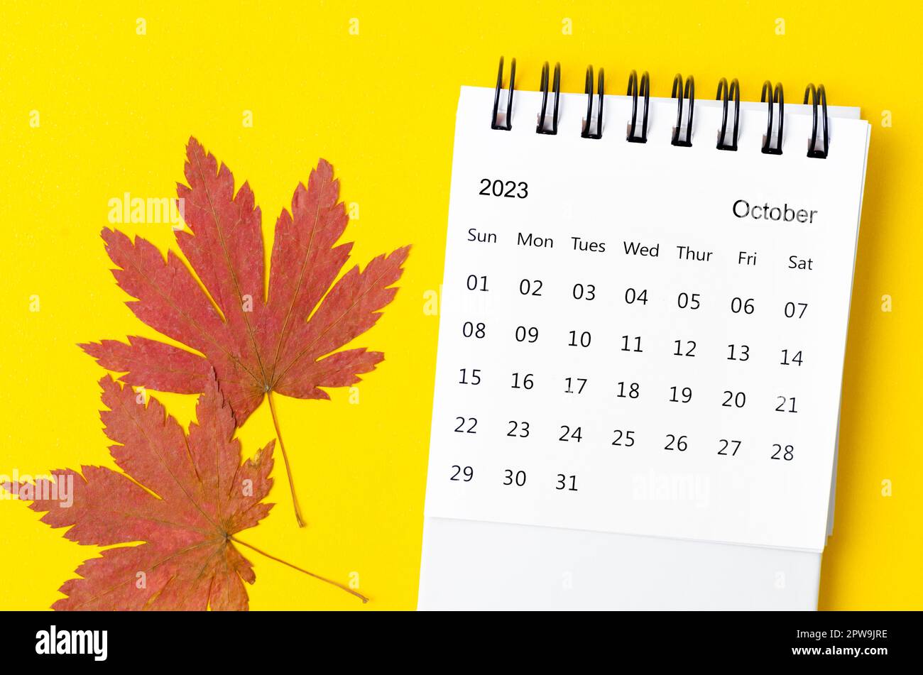 October 2023 desk calendar for 2023 year with autumn maple leaf on ...