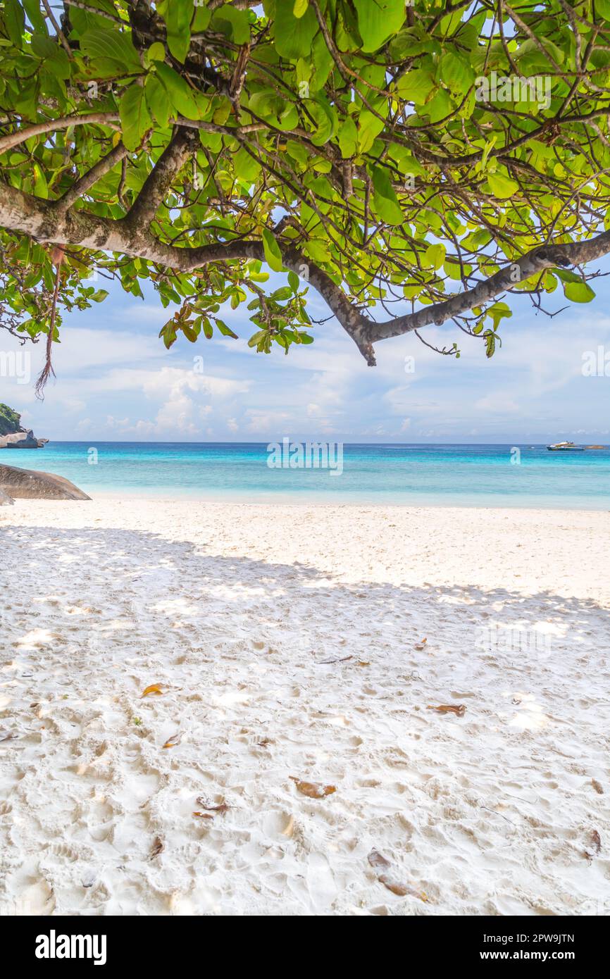 Beautiful sandy beach with wave crashing on sandy shore at Similan ...