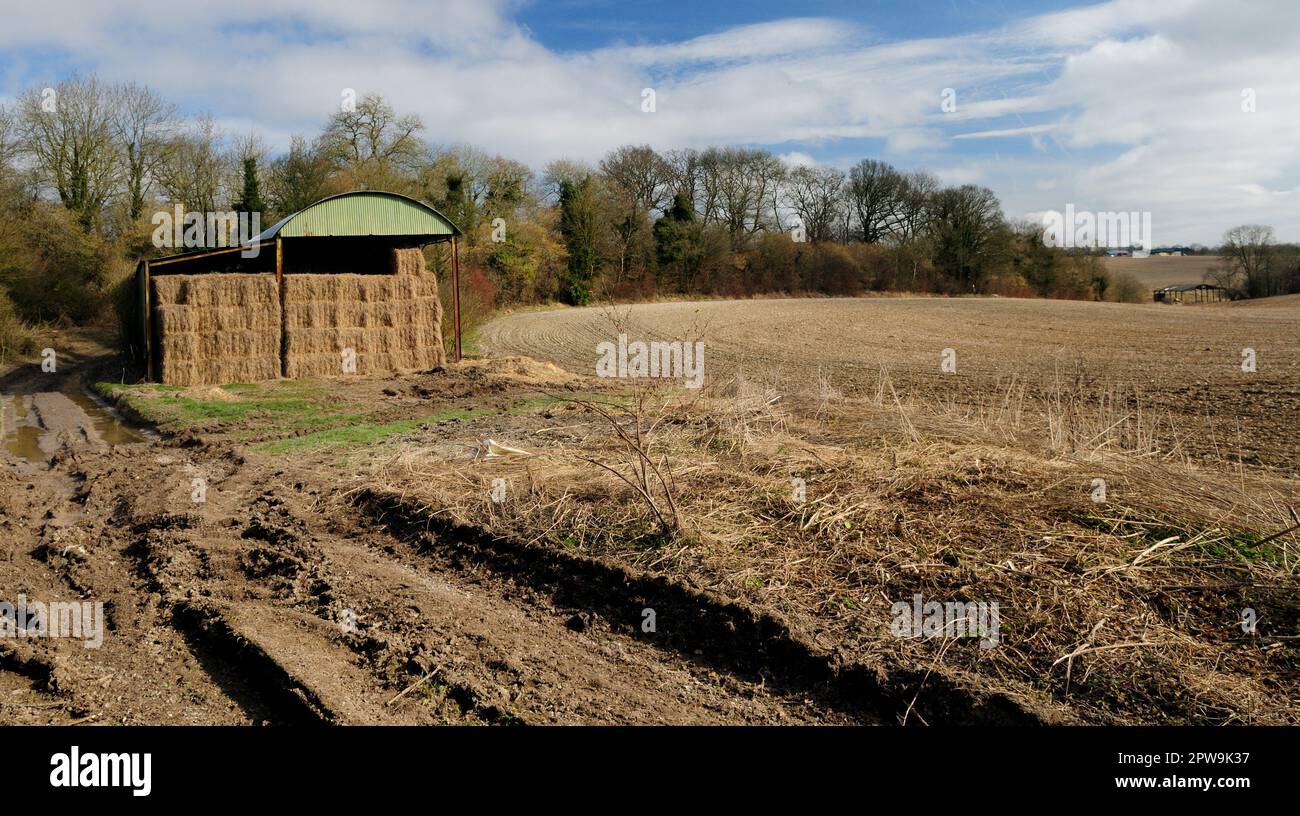 Open sided barn hi-res stock photography and images - Alamy