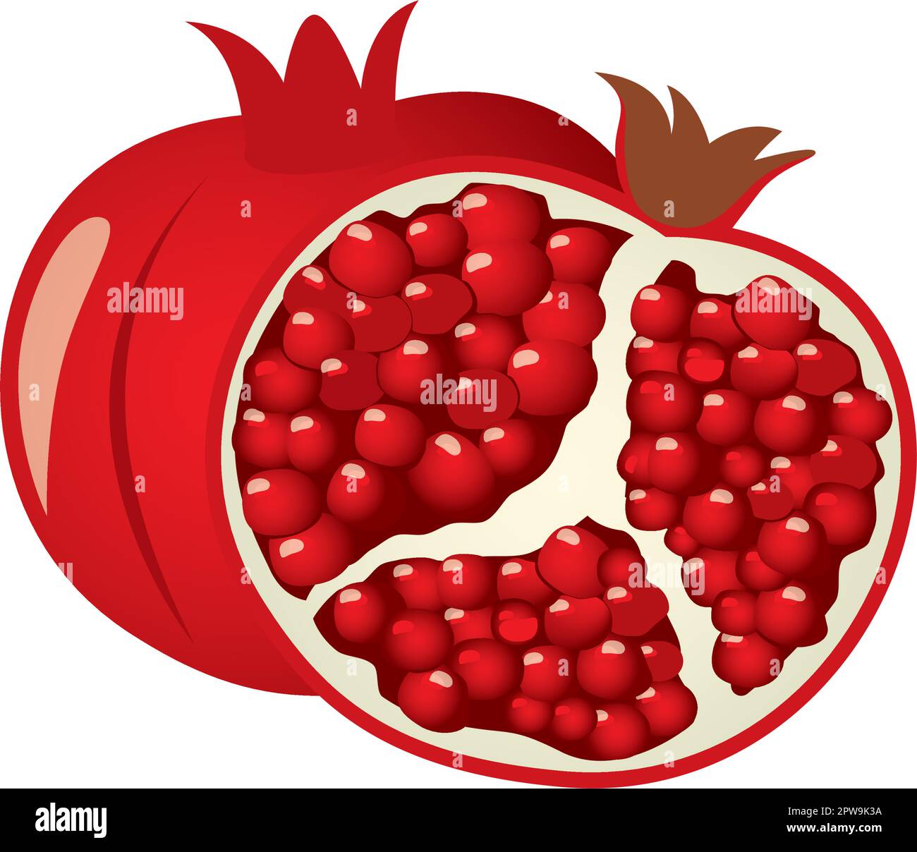 Detailed Pomegranate with the Slice Illustration Stock Vector Image ...