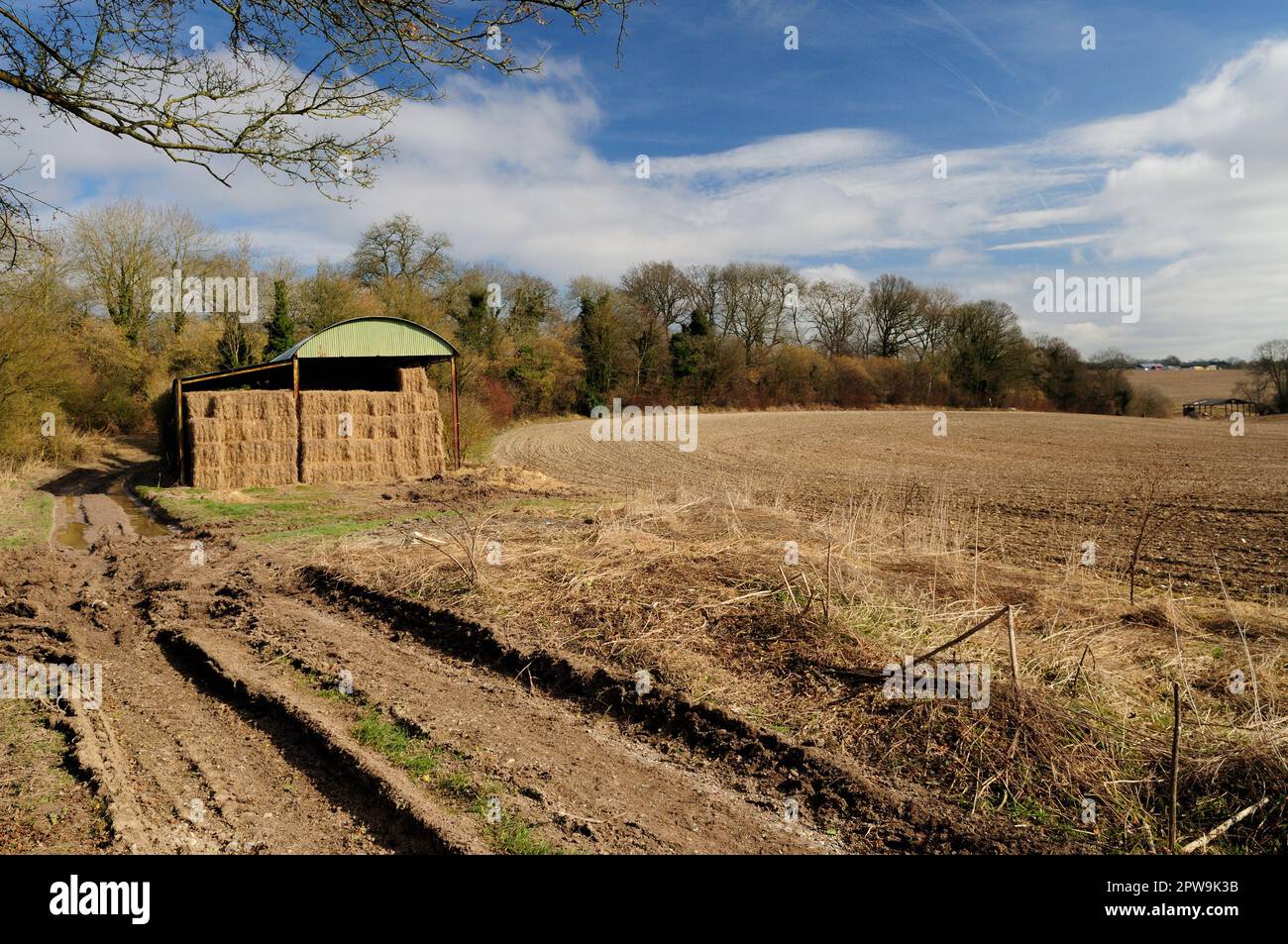 Open sided barn hi-res stock photography and images - Alamy