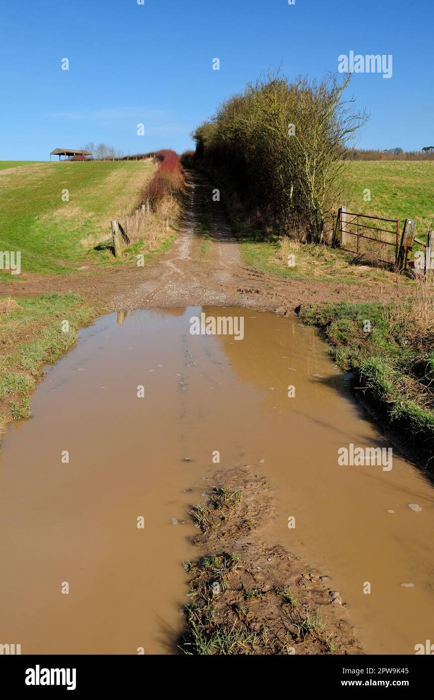 A waterlogged track along a public right of way in open countryside ...