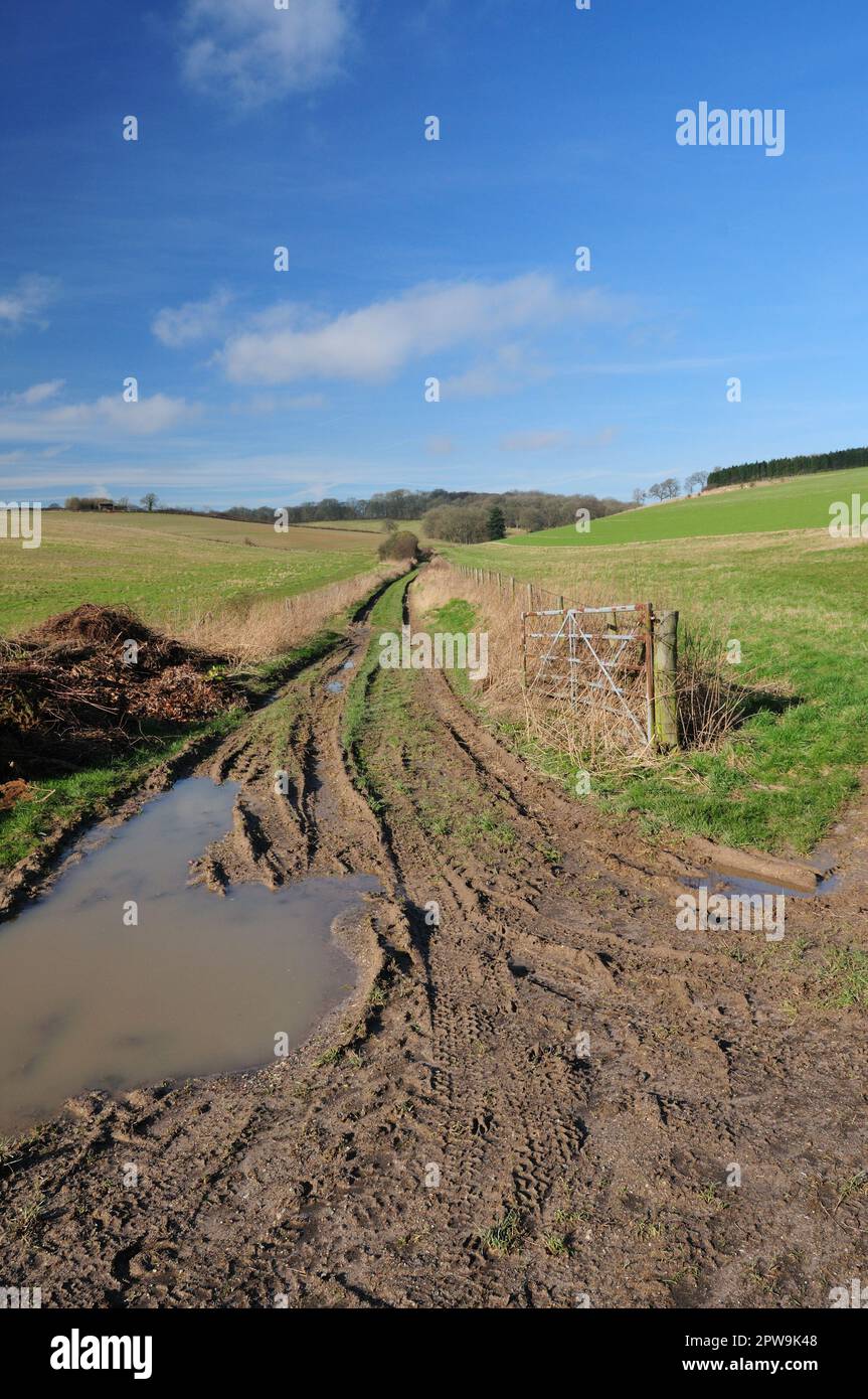 A waterlogged track along a public right of way in open countryside ...